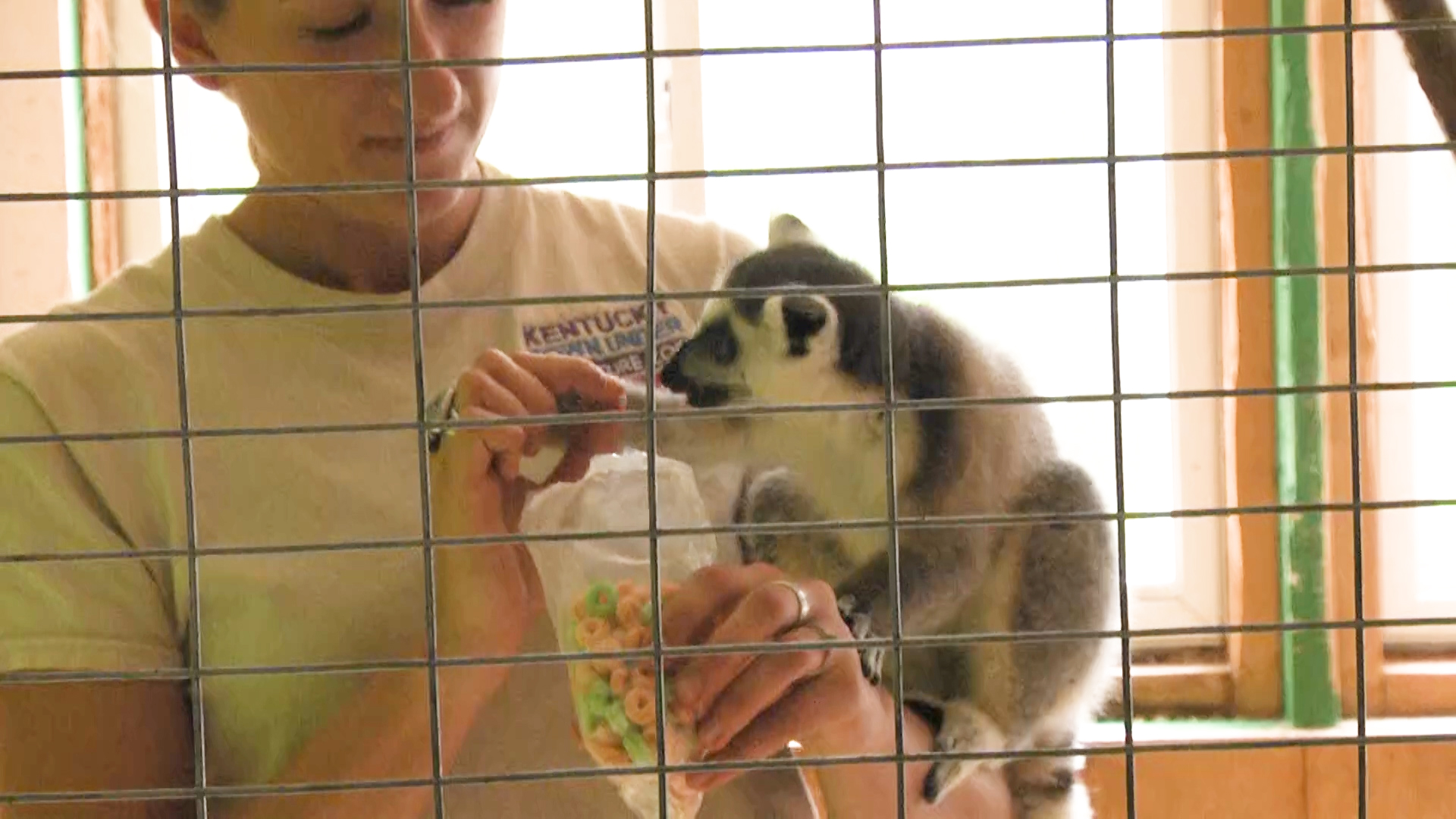 Kentucky Down Under zookeepers work to keep animals safe during ...