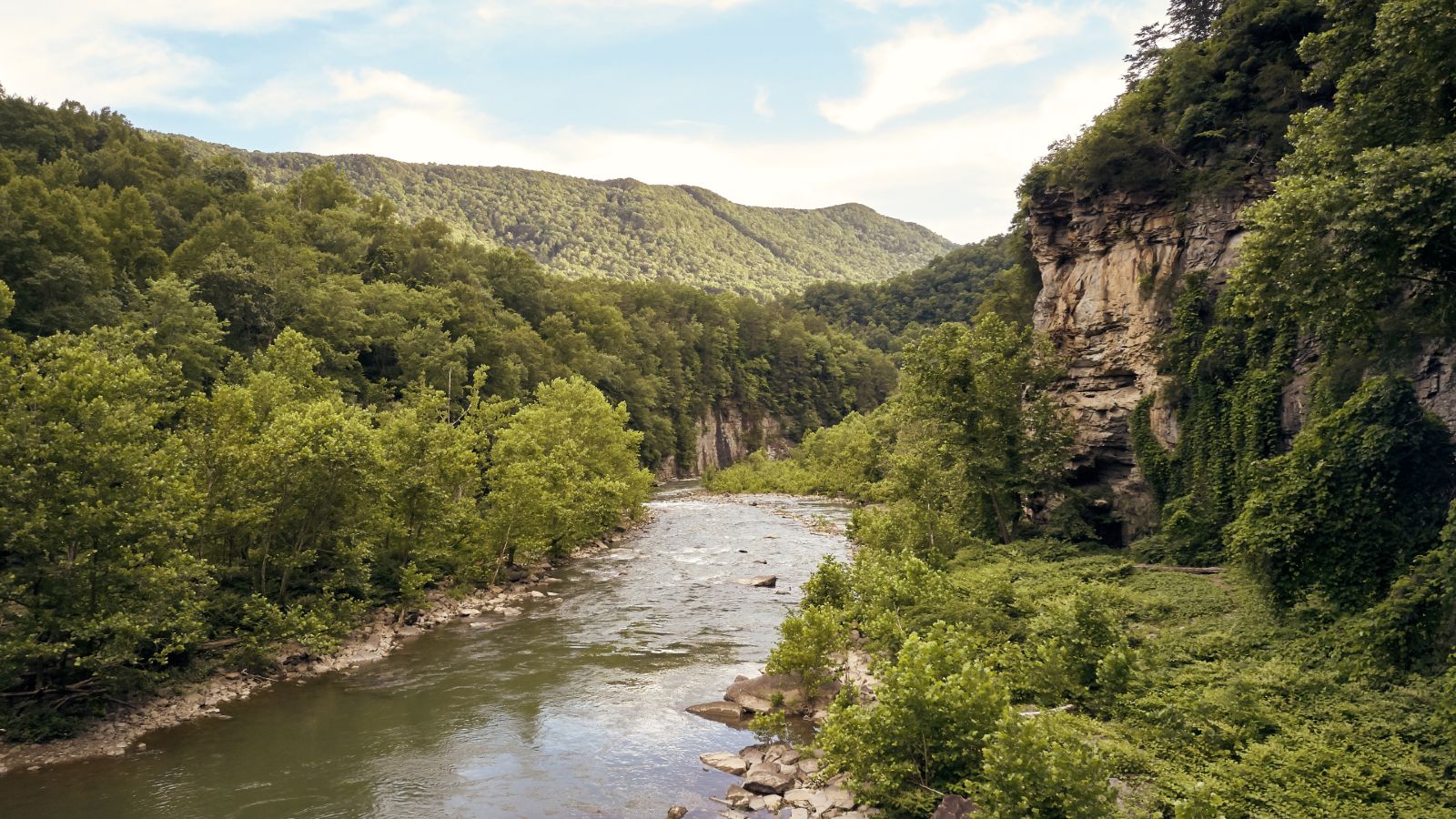 New director sought for initiative to improve Appalachia - WNKY News 40 ...