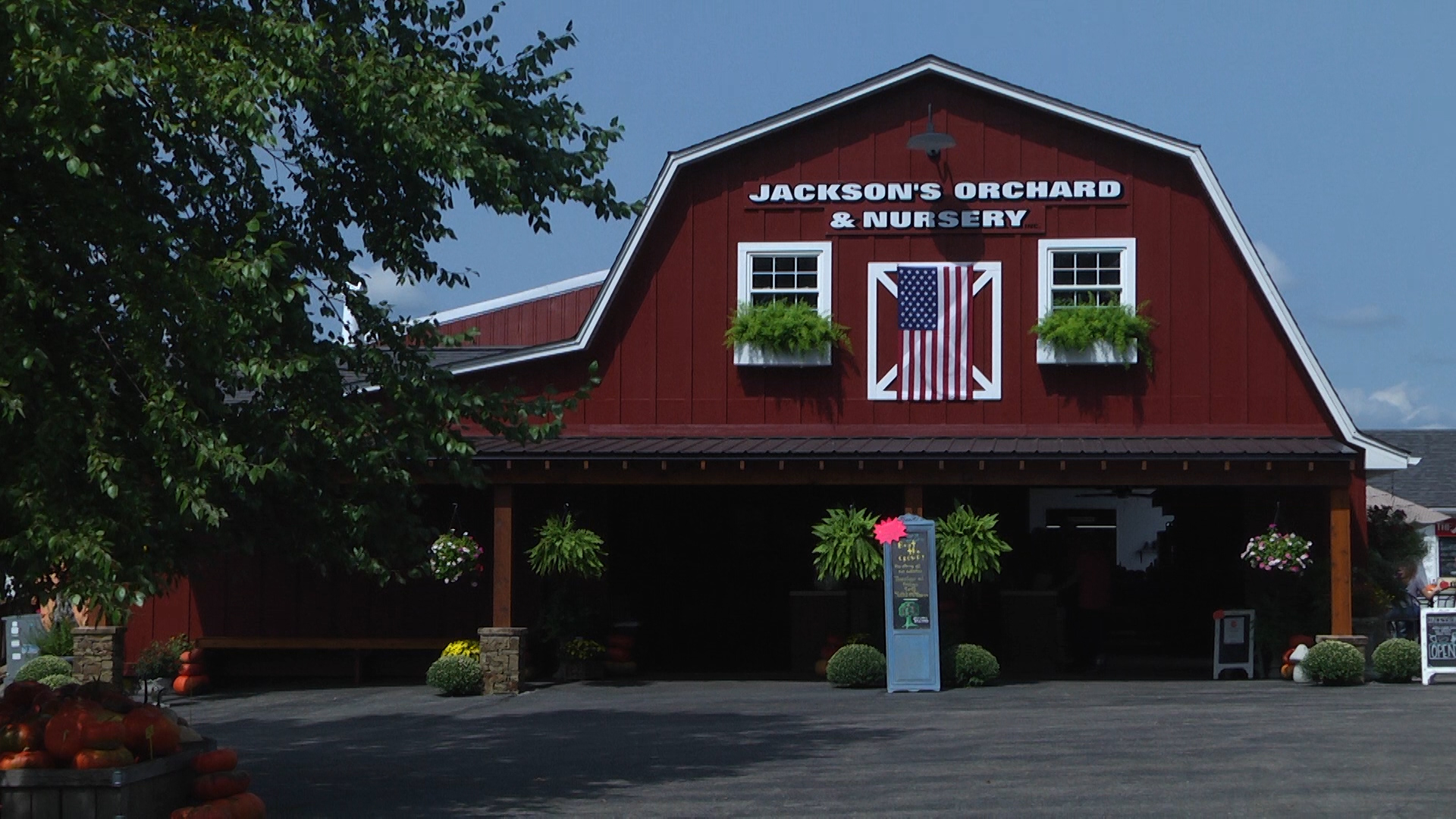Jackson's Orchard is open for the fall season - WNKY News 40 Television
