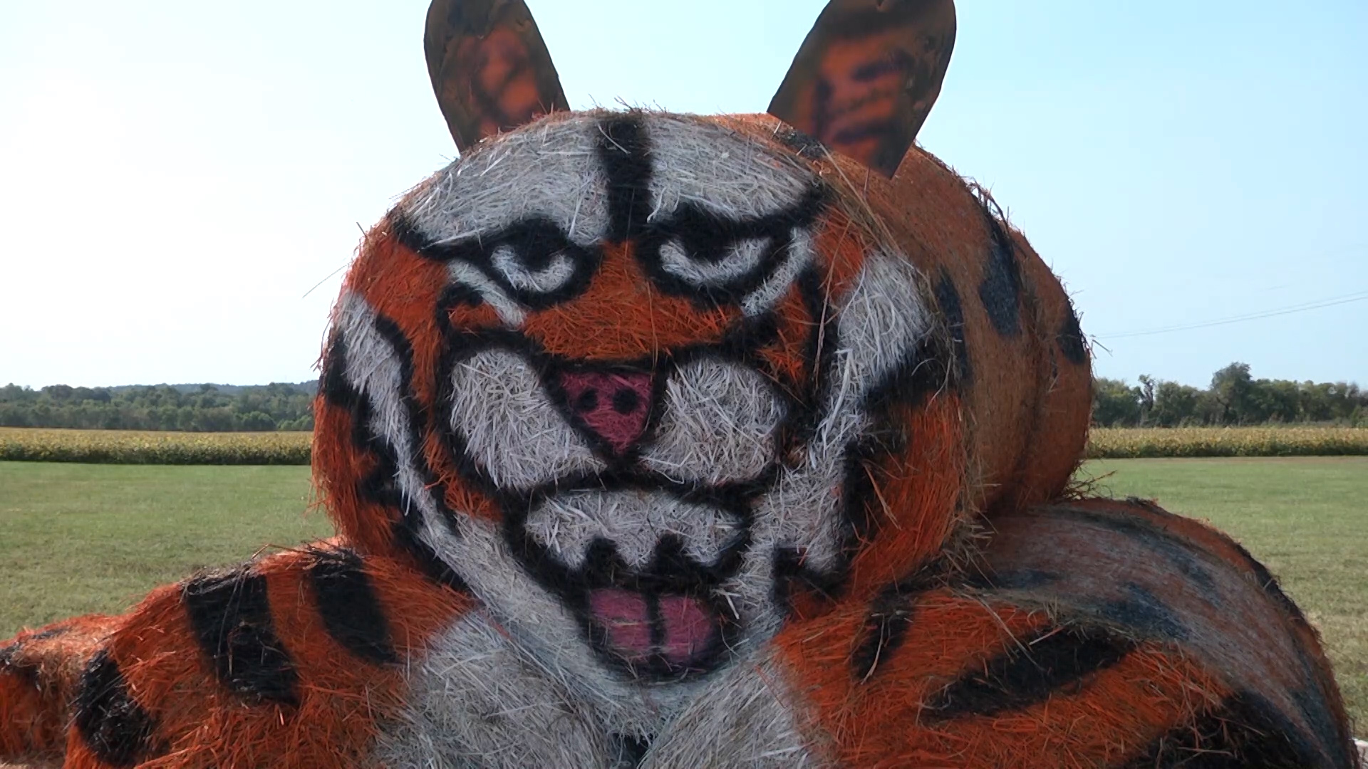 Feel Good Friday - Hay Bale Trail - WNKY News 40 Television