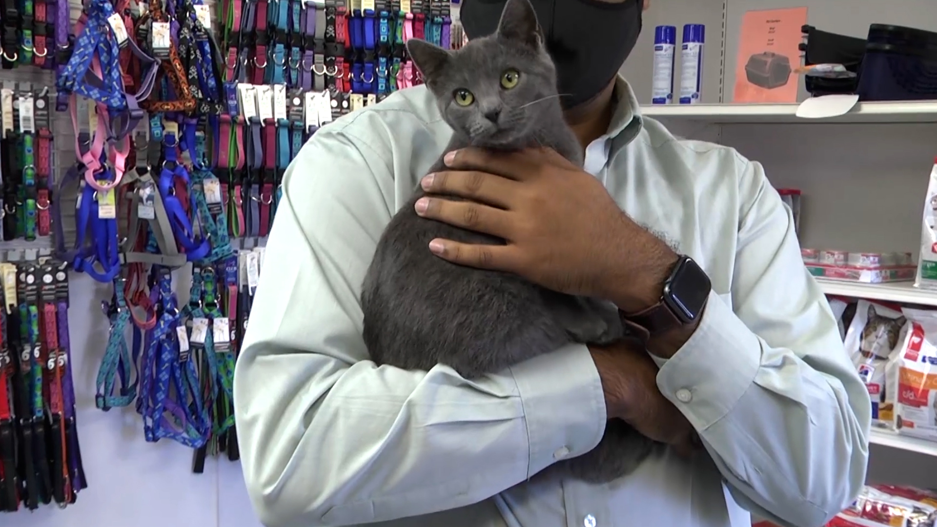 Pet of the Day - Mabel - WNKY News 40 Television