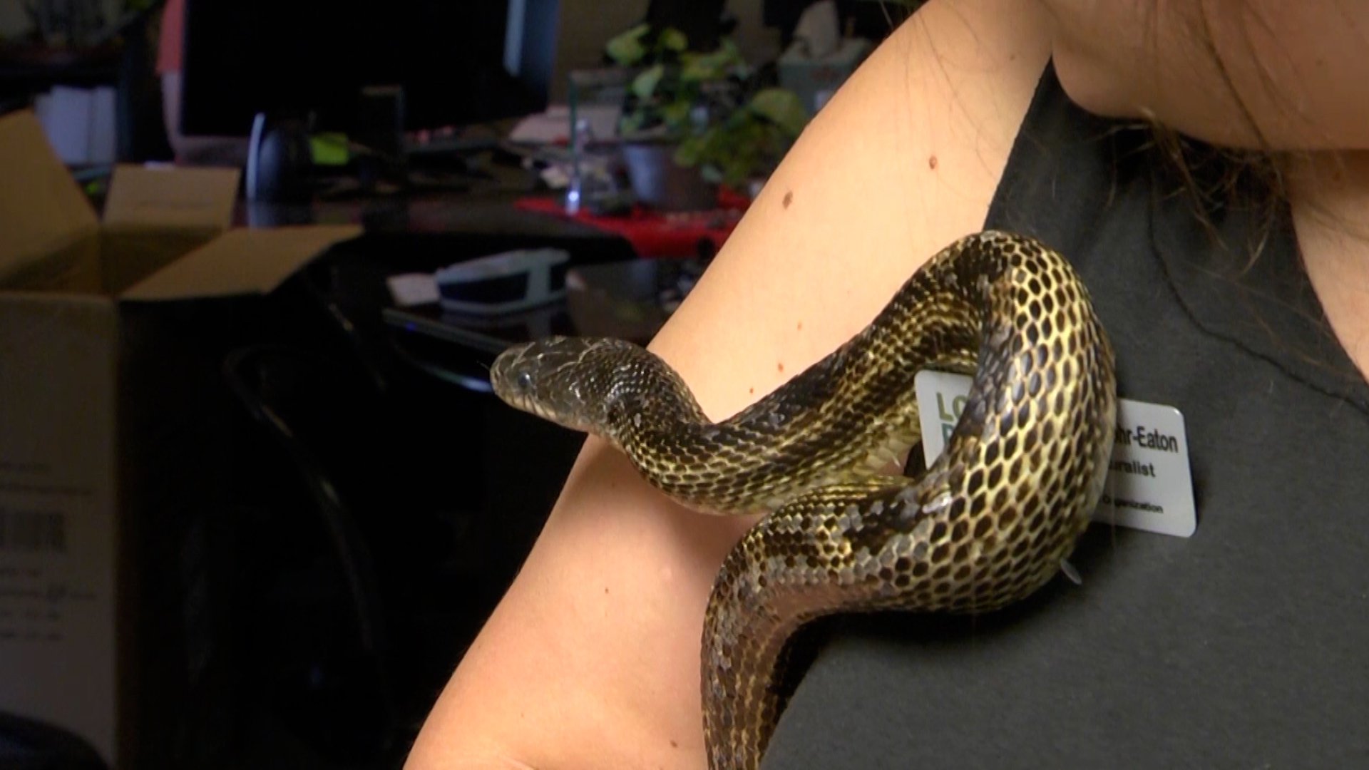Feel Good Friday - Snake benefits - WNKY News 40 Television