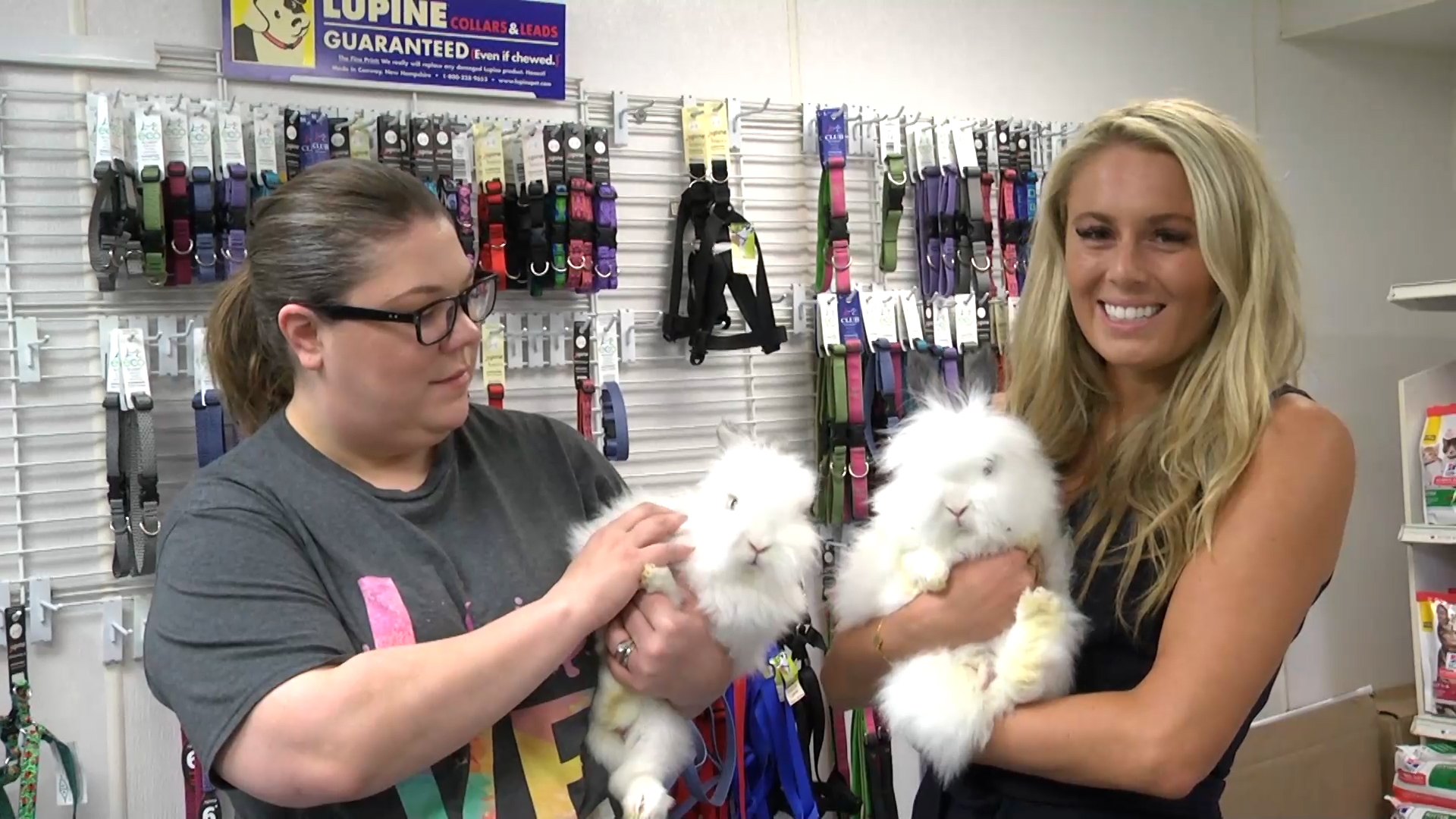 Pet of the Day - Max and Murphy - WNKY News 40 Television