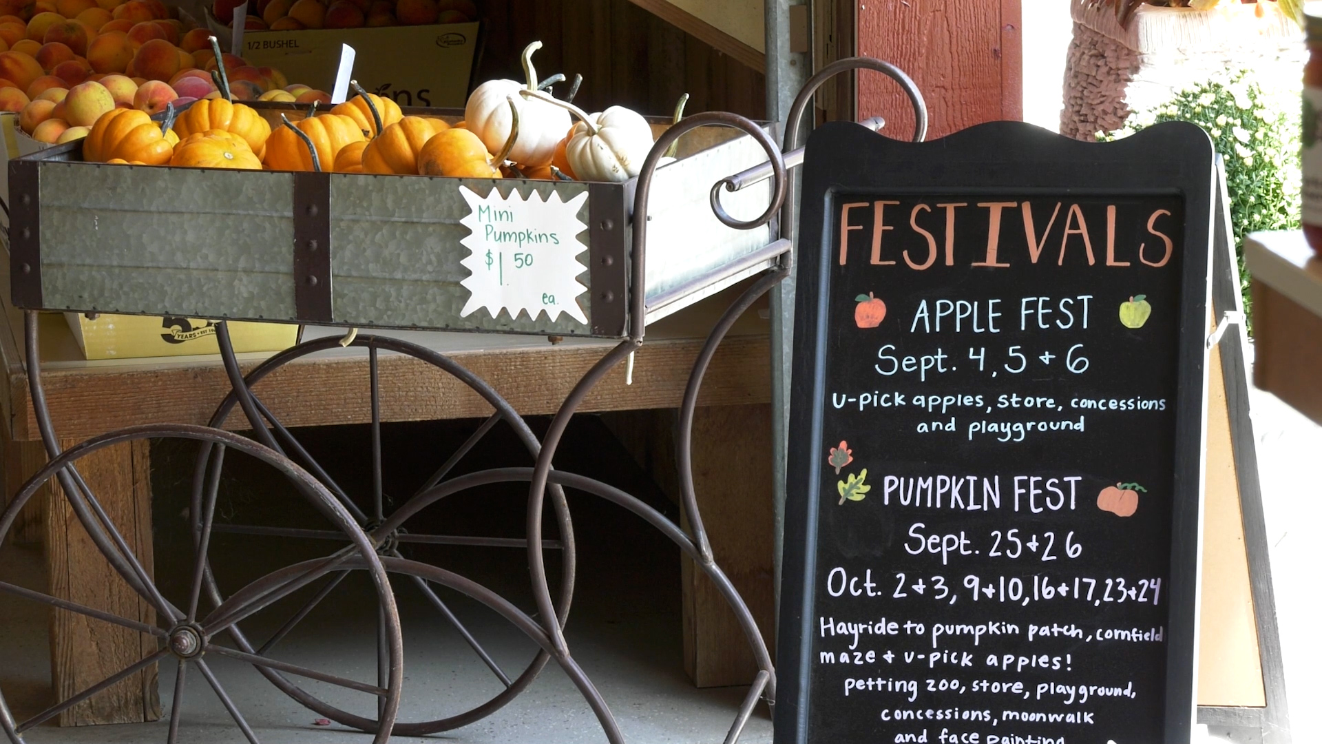 Annual Apple Fest returns to Jackson's Orchard - WNKY News 40 Television