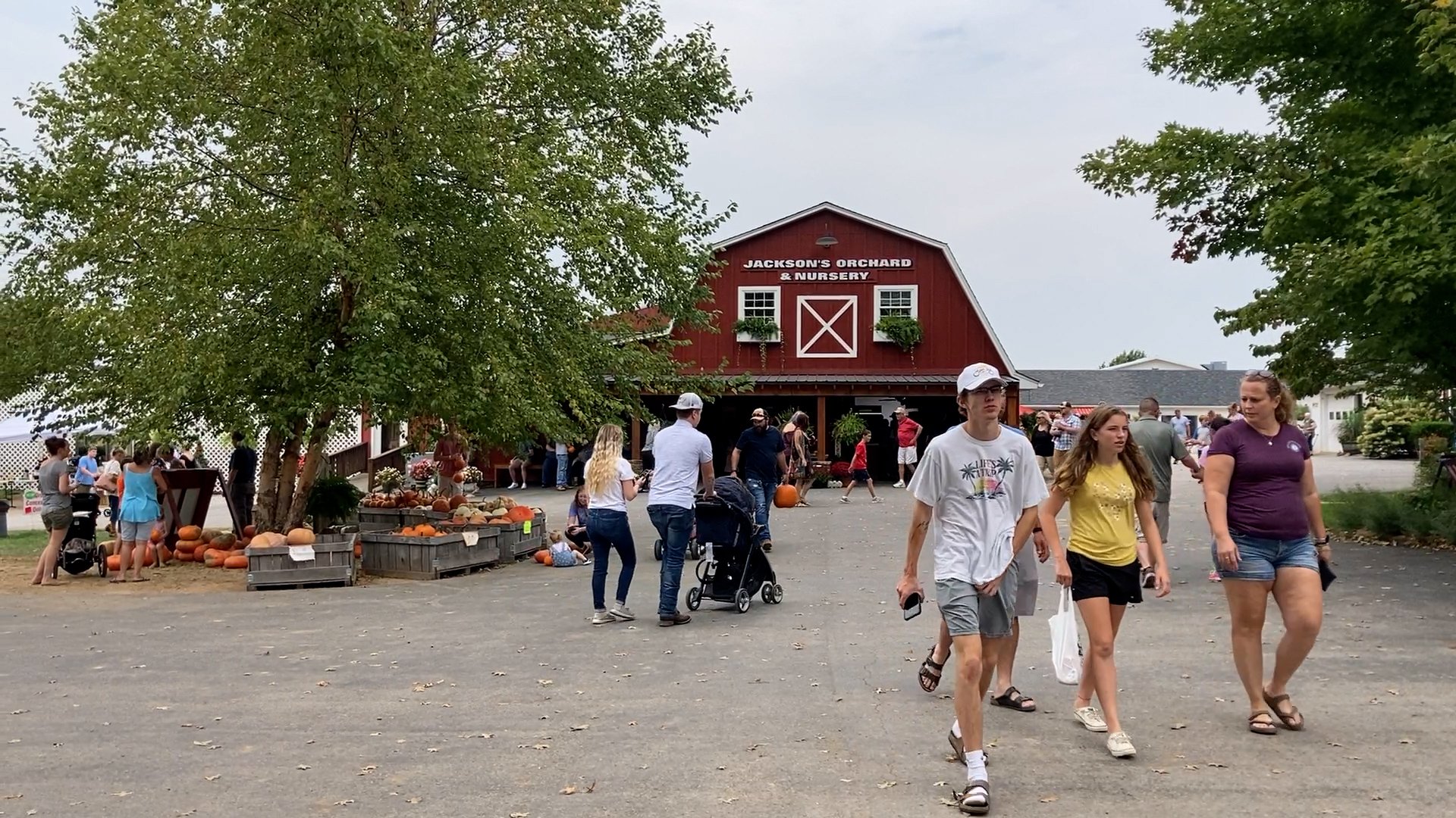 Jackson's Orchard celebrates 55 years with fall break fun - WNKY News ...