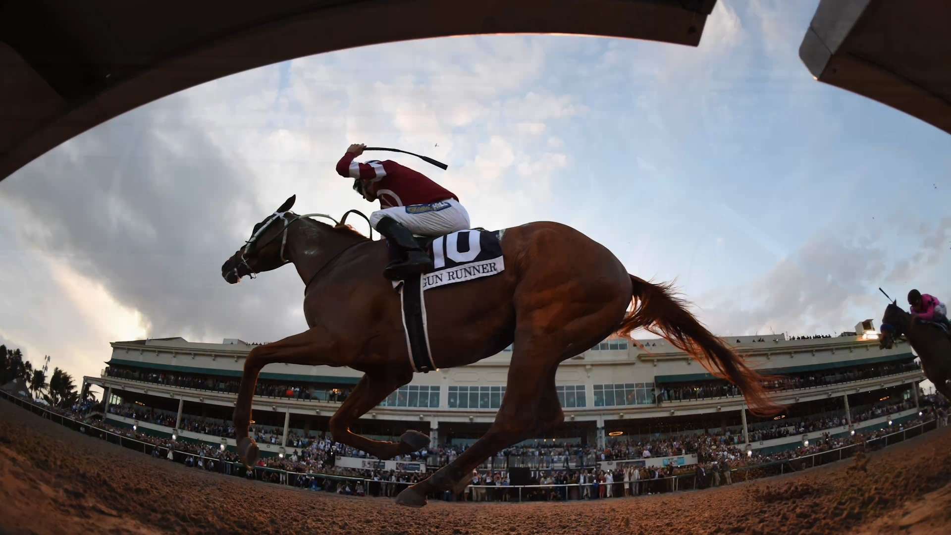 Gun Runner 2022 breeding season fetches $130K for tornado recovery ...