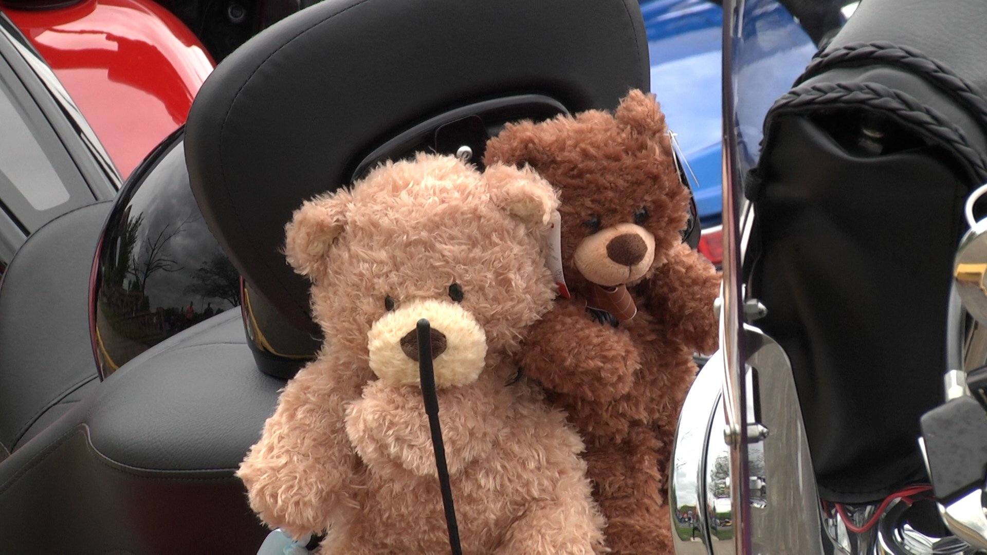 Over 400 motorcyclists ride in Great Teddy Bear Run - WNKY News 40 ...