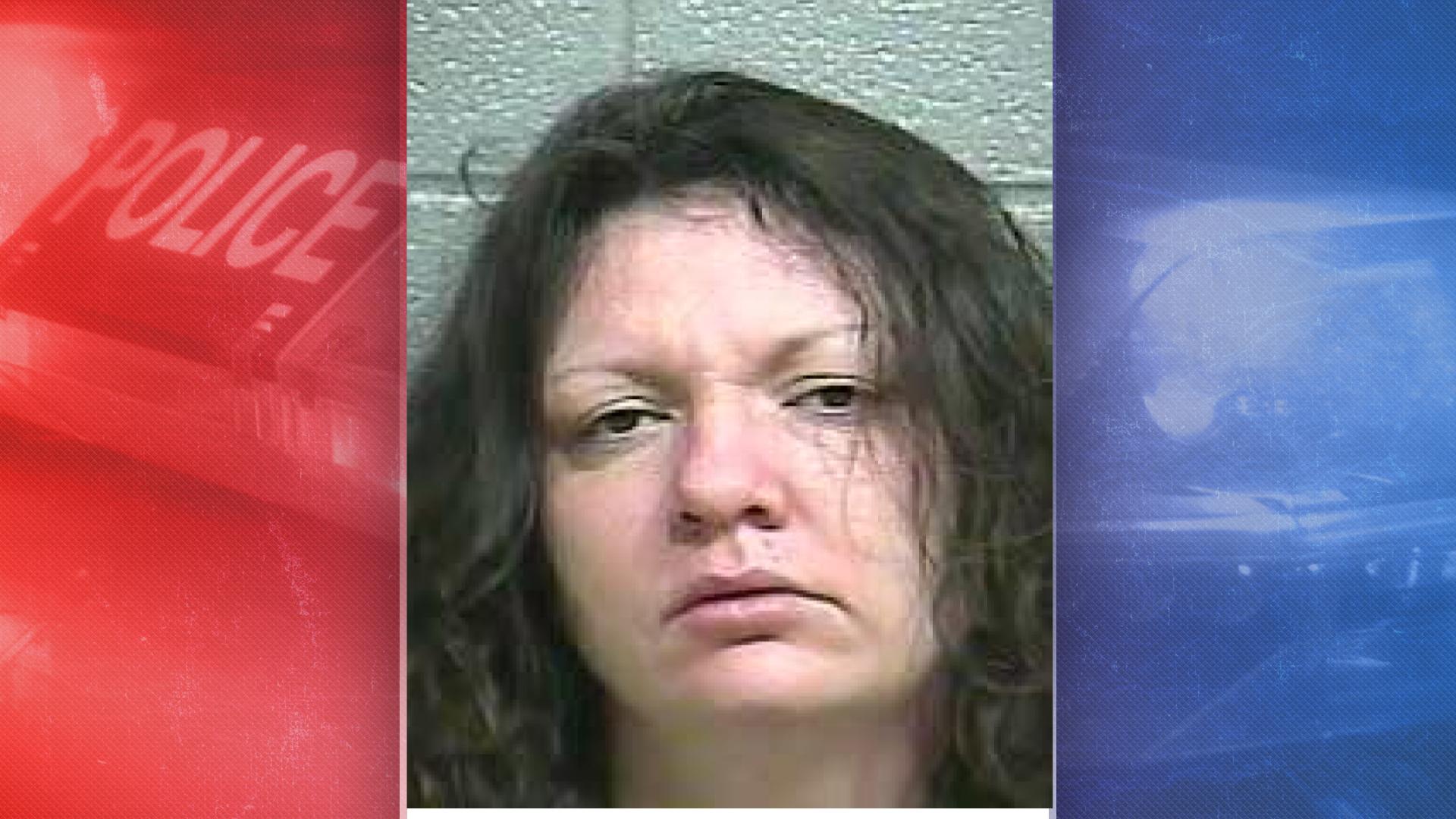Woman charged with theft of vehicle, handgun - WNKY News 40 Television