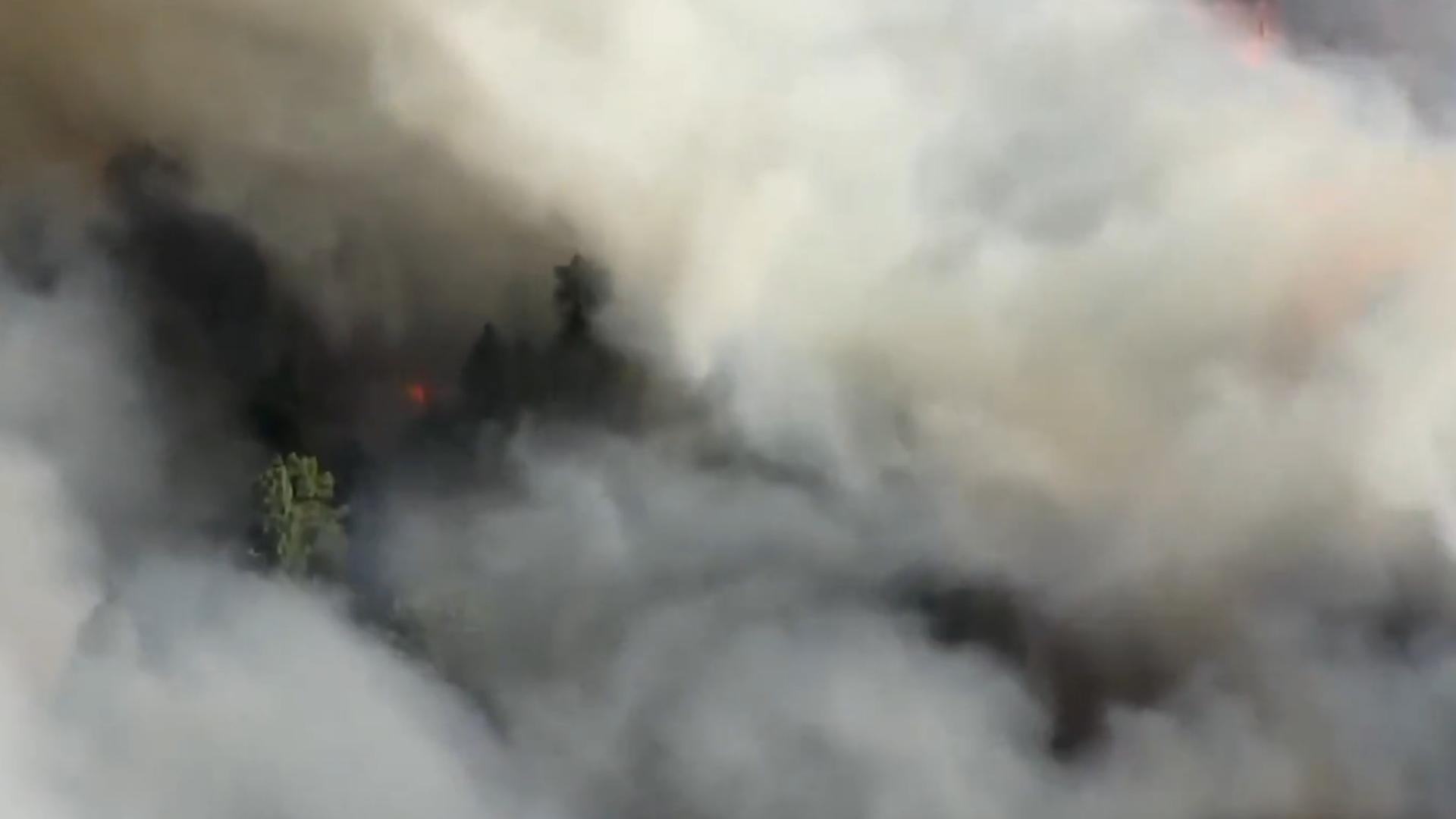 Fire ignites over 120 acres in Smiths Grove, turns farmland to ash ...