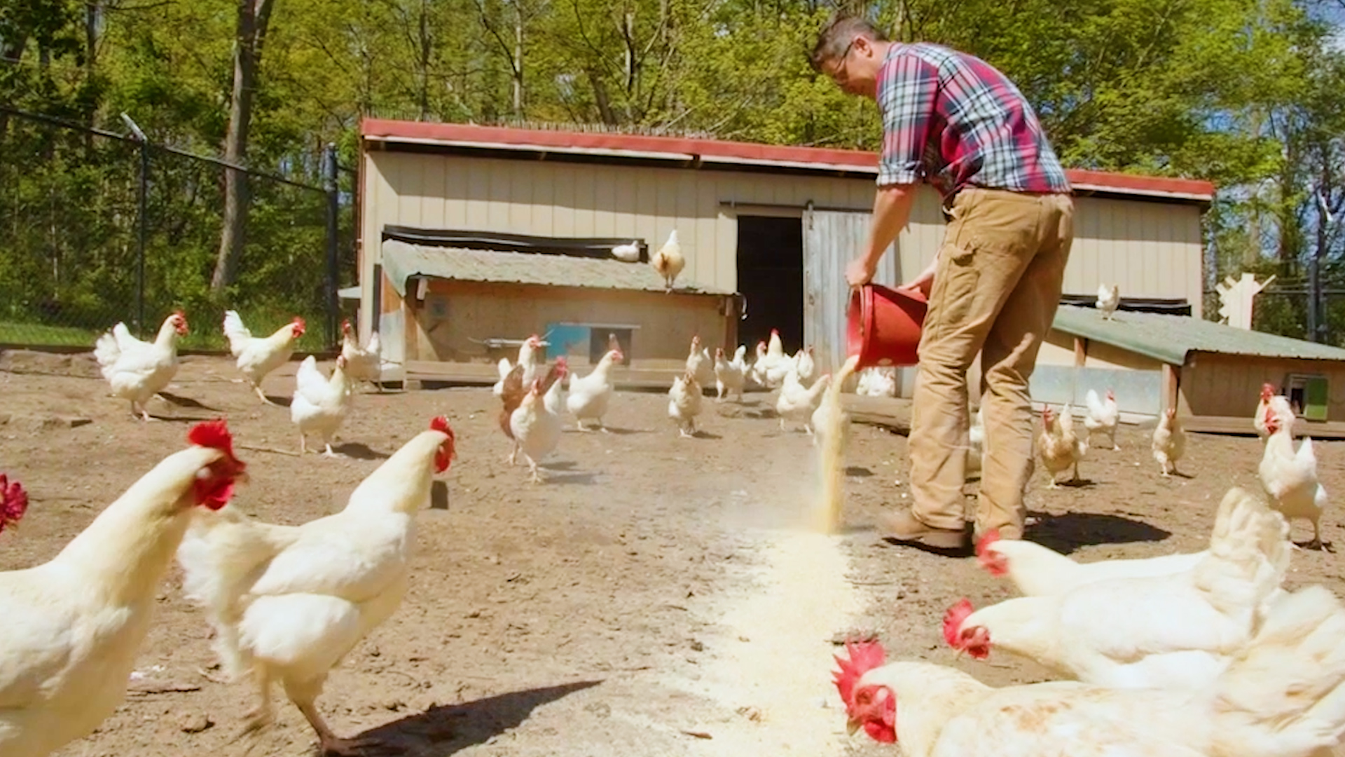 eCommerce: the future of farming? Pandemic + gas prices = YES - WNKY ...