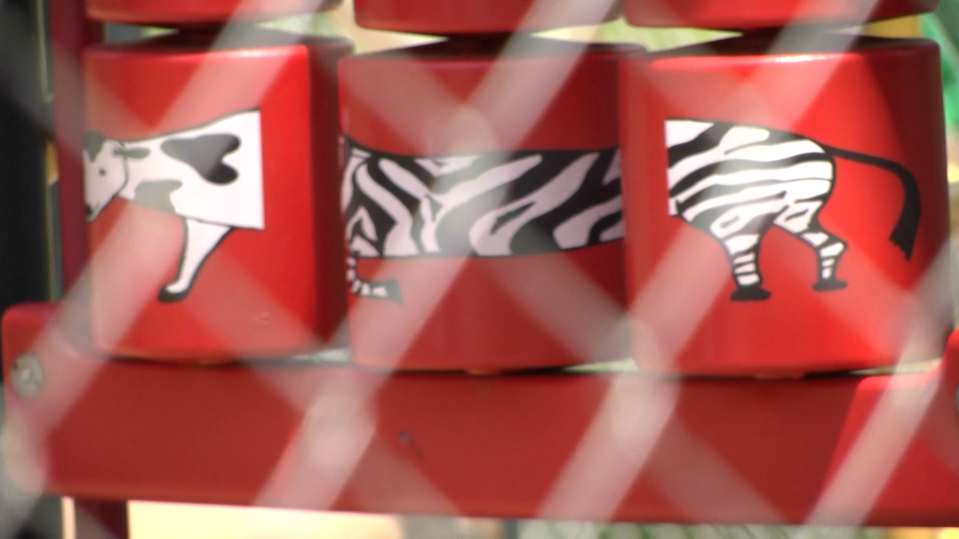 Keep human and fur babies safe in the heat - WNKY News 40 Television