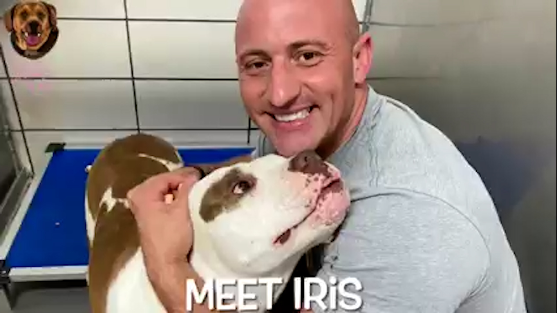 BRAWA chosen for huge Facebook livestream fundraiser - WNKY News 40 ...