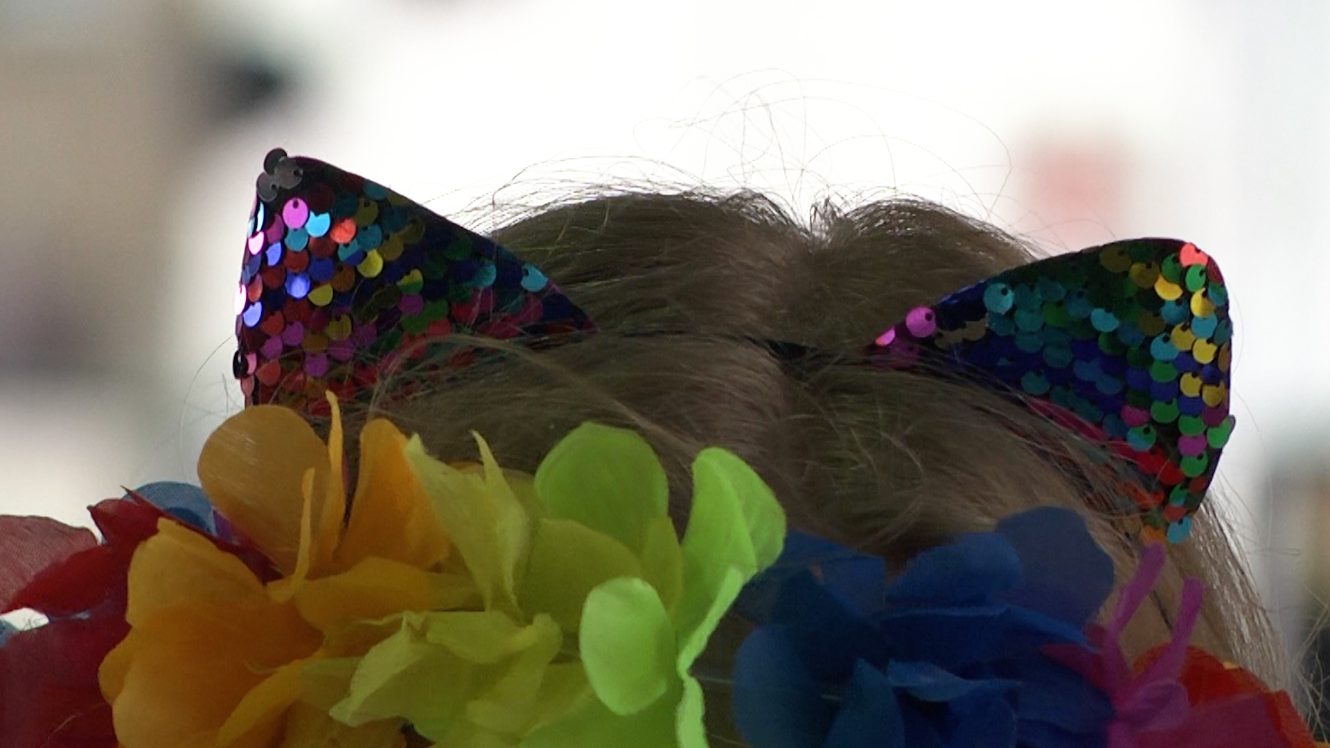 Goin' CATS for the Bowling Green Hot Rods - WNKY News 40 Television