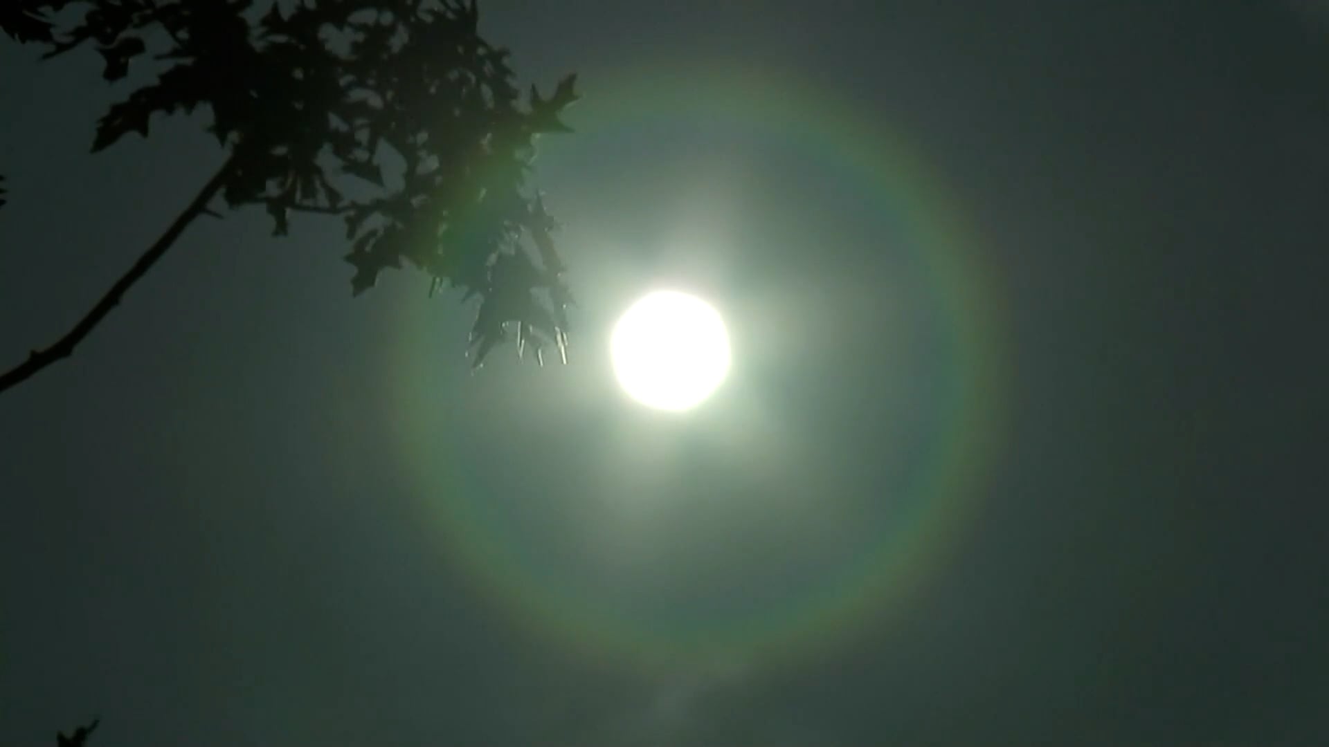 Heat dangers in Kentucky - WNKY News 40 Television