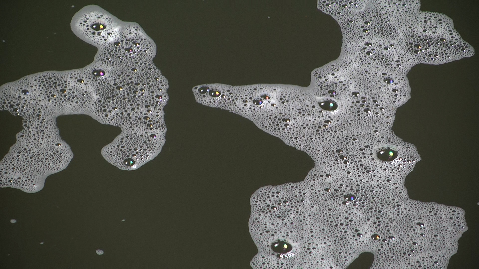 UPDATE: Lost River Cave boat tours reopened; soap pollution continues ...