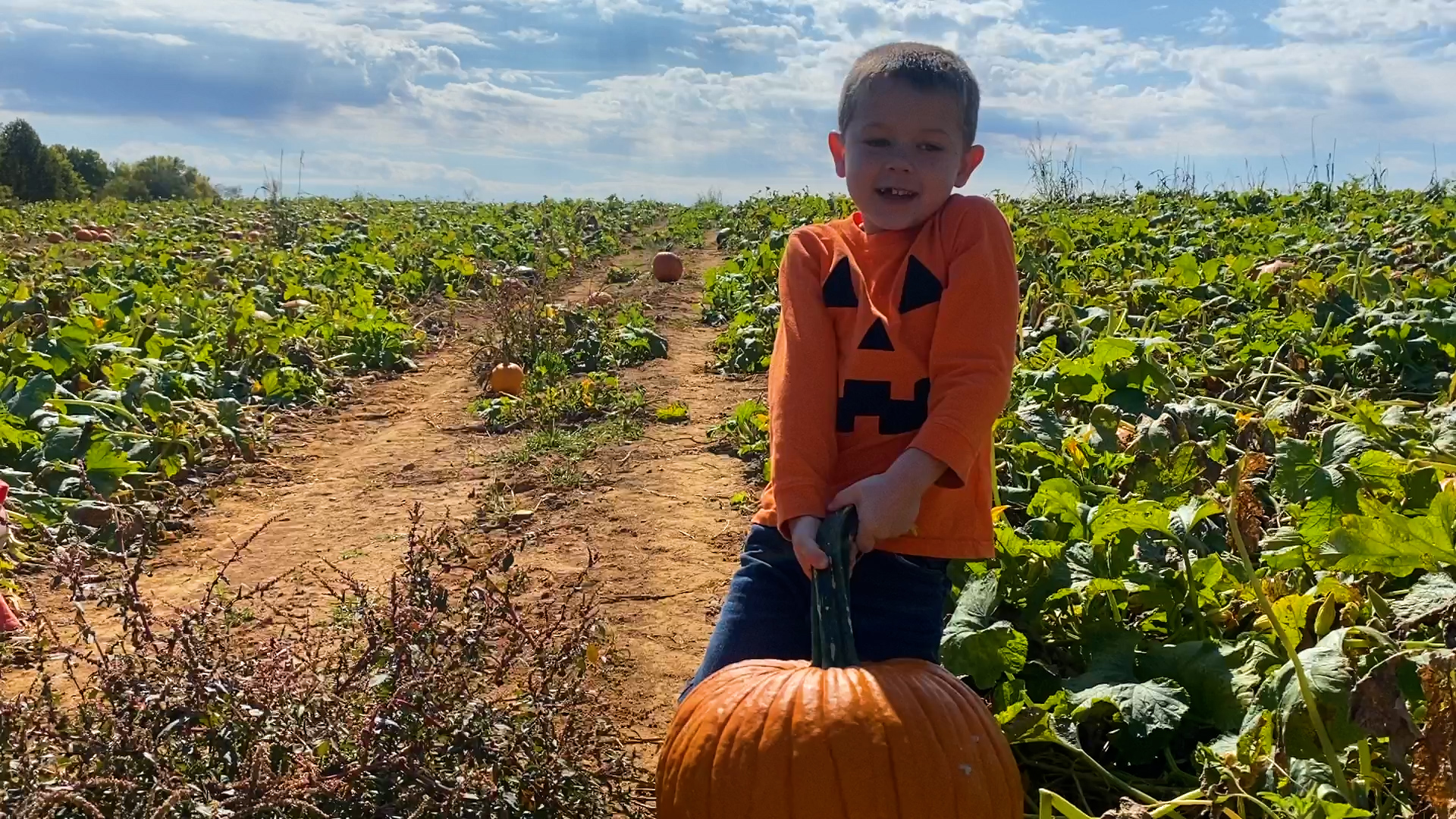 Fall Family Fun swings into SOKY; Horse Cave fave celebrates 30 years ...