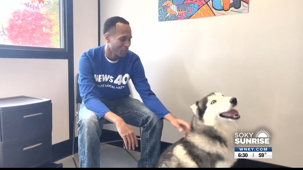 PET OF THE DAY - Afro - WNKY News 40 Television