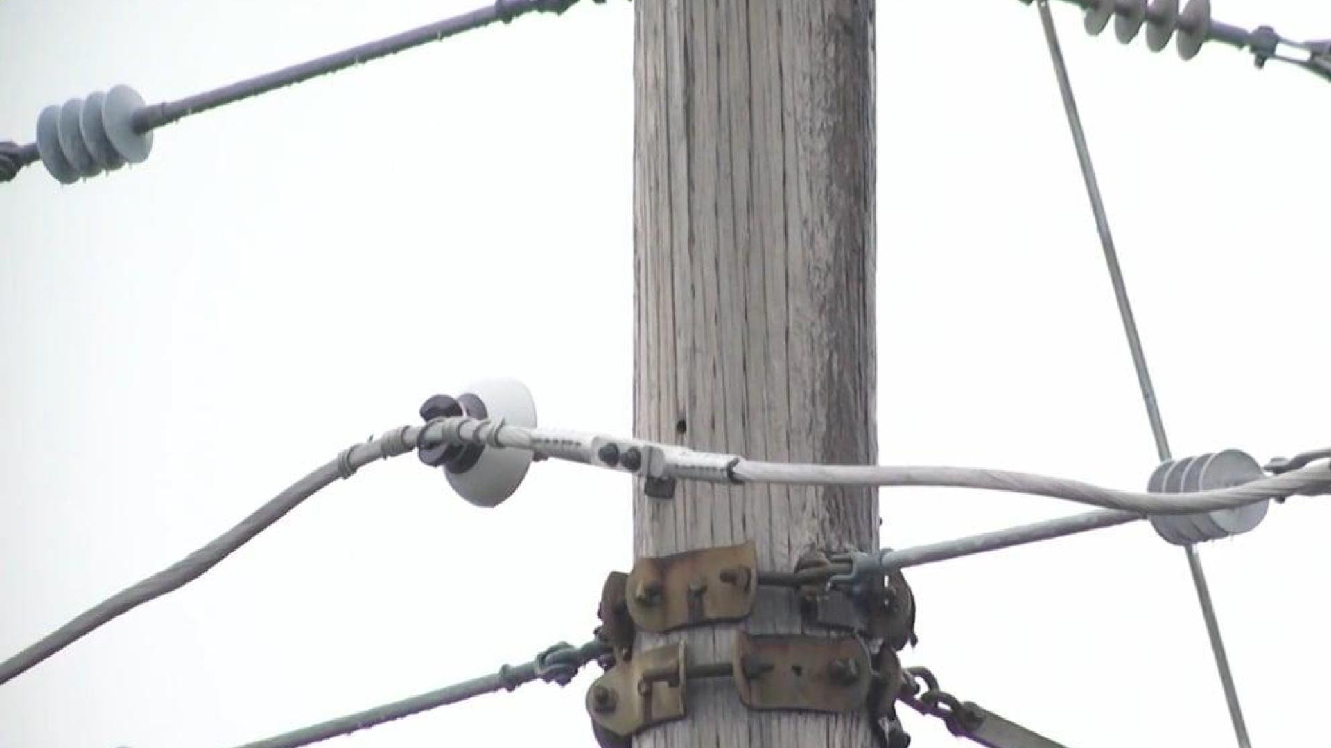 WRECC reports outage affecting 1,100 members in Warren County - WNKY ...