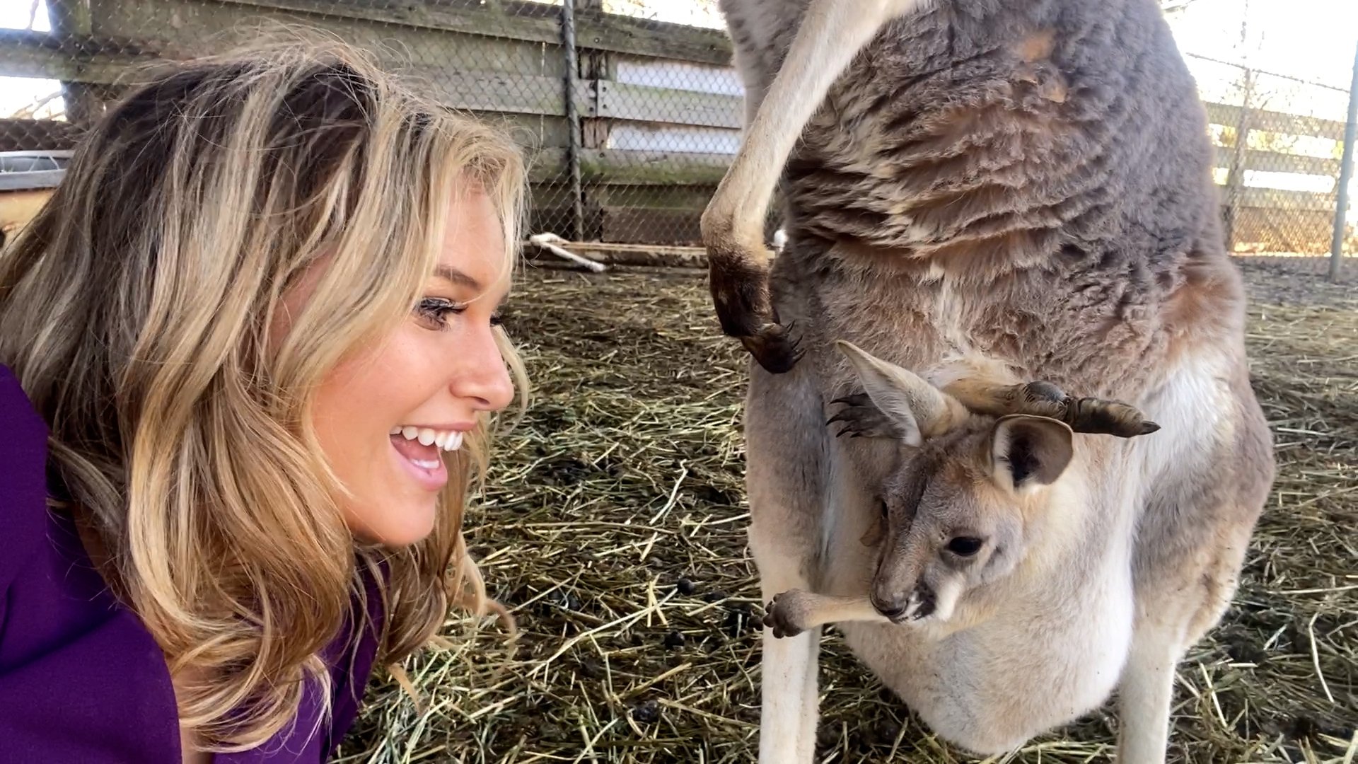 Happy 'Roo' Year! Come meet baby kangas with me! - WNKY News 40 Television