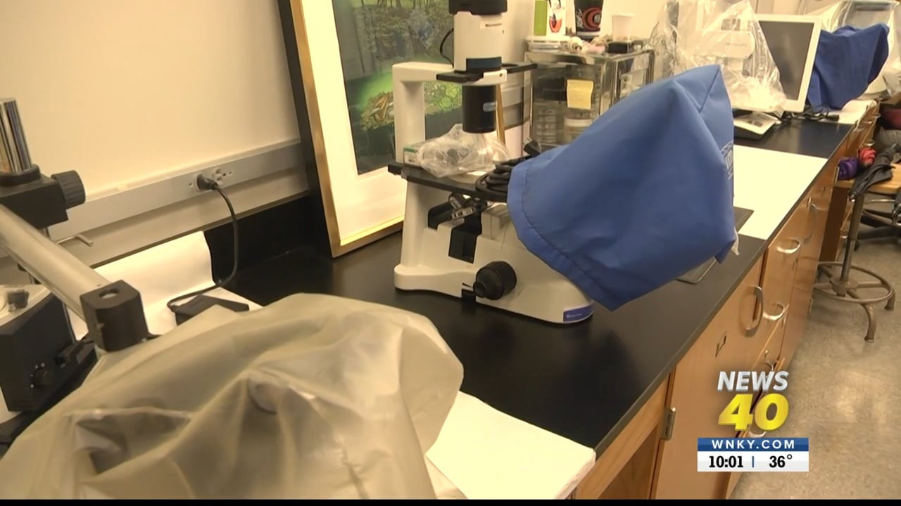 Gatton Academy Girl takes on Washsington, D.C. - WNKY News 40 Television