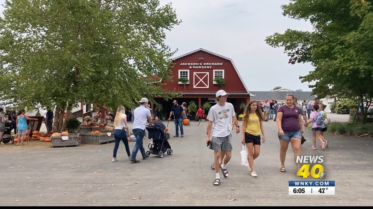 Owner of Jackson's Orchard receives state recognition - WNKY News 40 ...