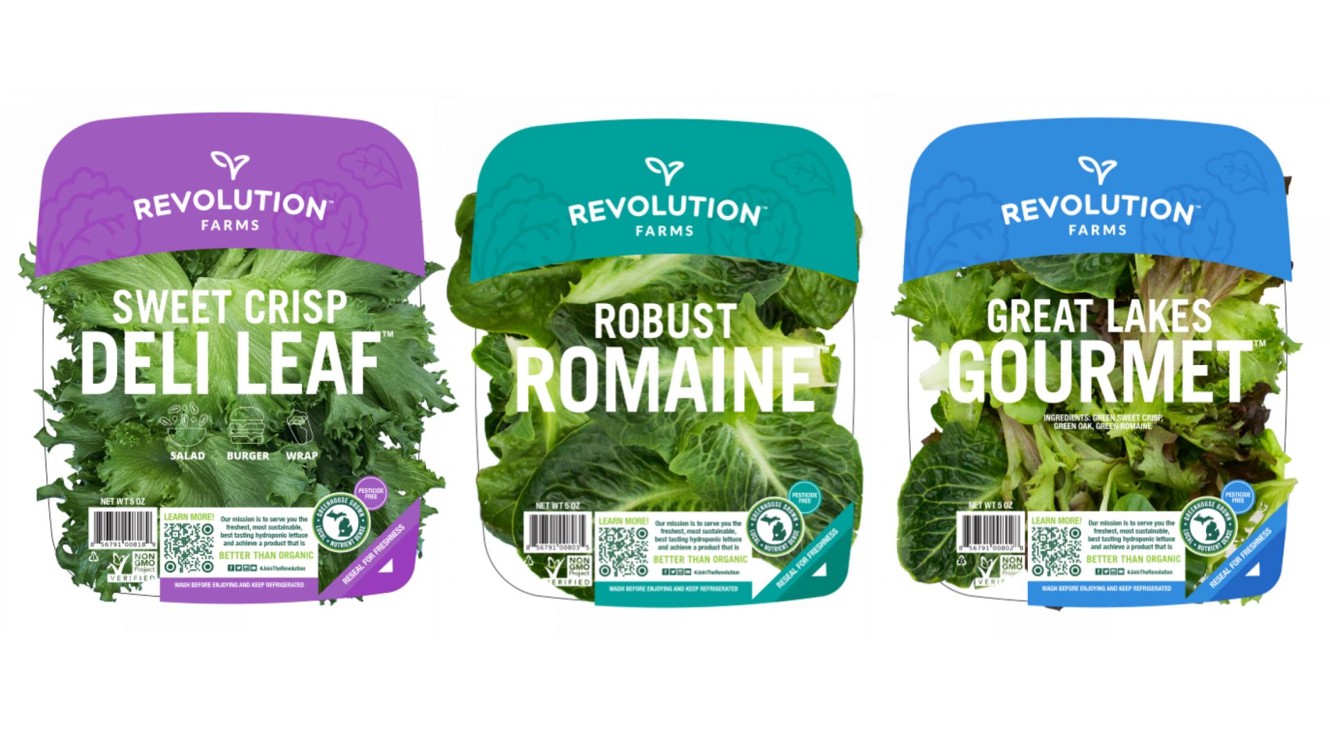 Revolution Farms recalls pre-packaged lettuce over listeria concerns ...
