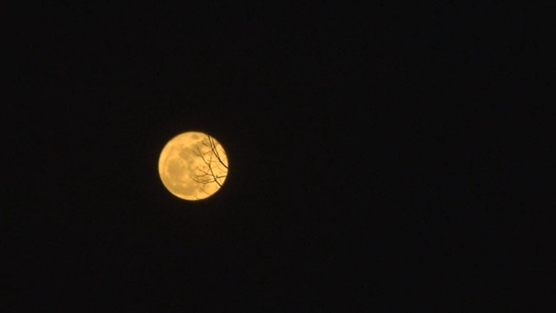 April's 'Pink Moon' to be the first full moon of spring - WNKY News 40 ...