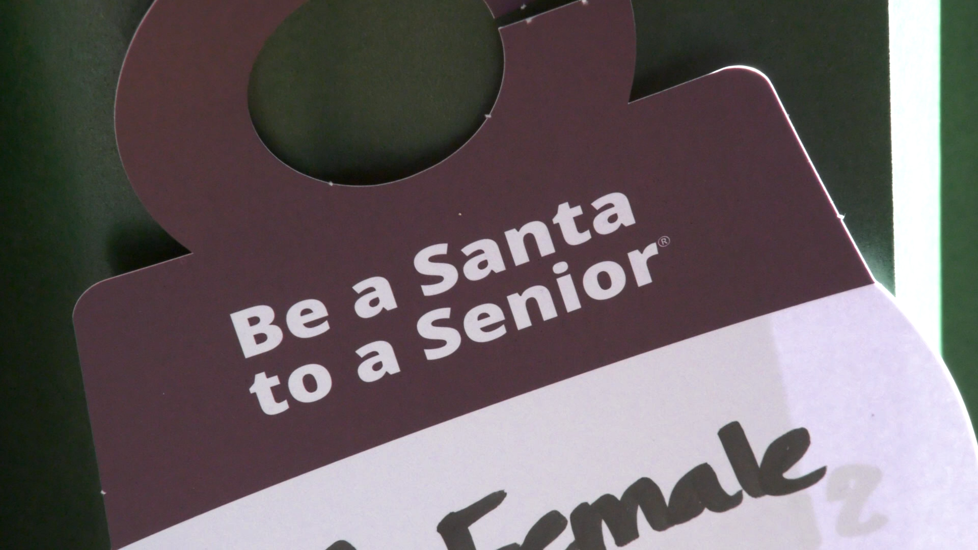 Be a Santa to a Senior gives the gift of community to older adults ...