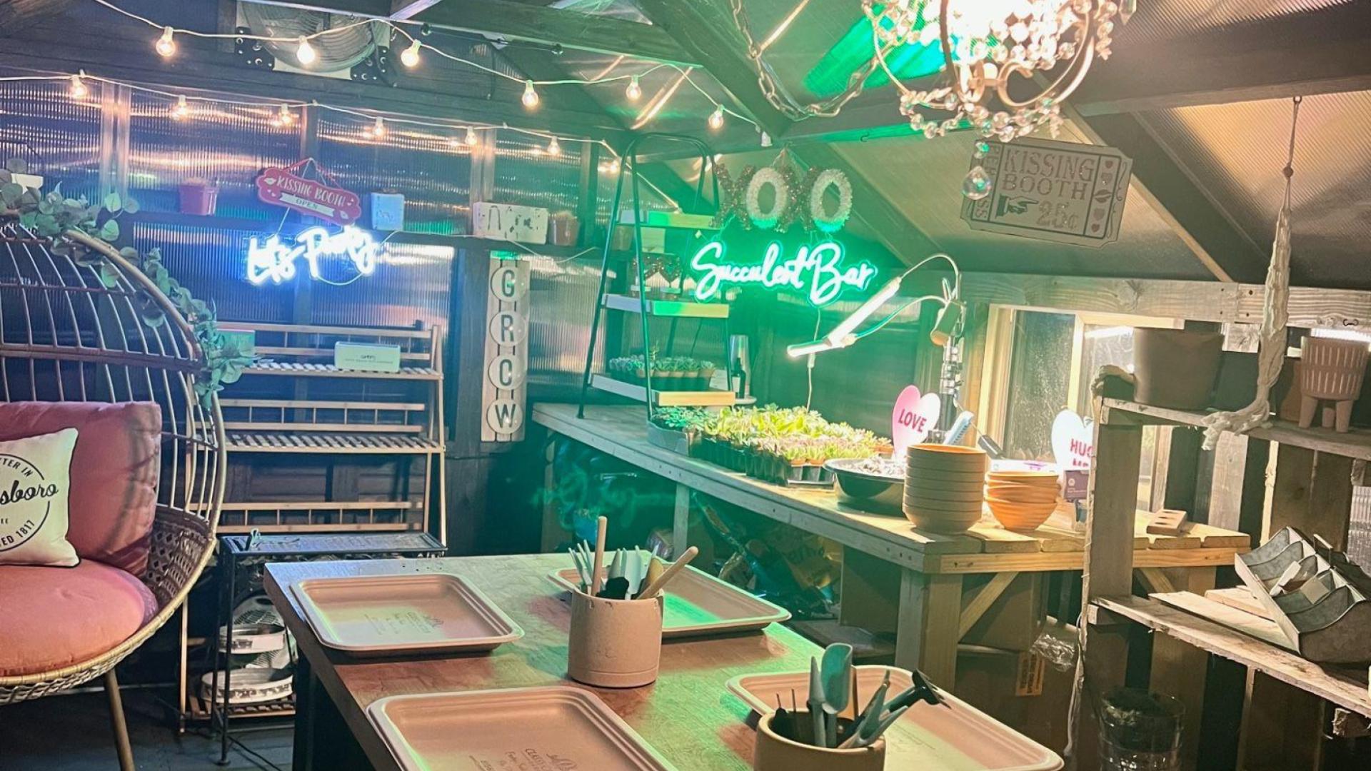 Classy Cactus Succulent Bar to have pop-up event in Bowling Green ...