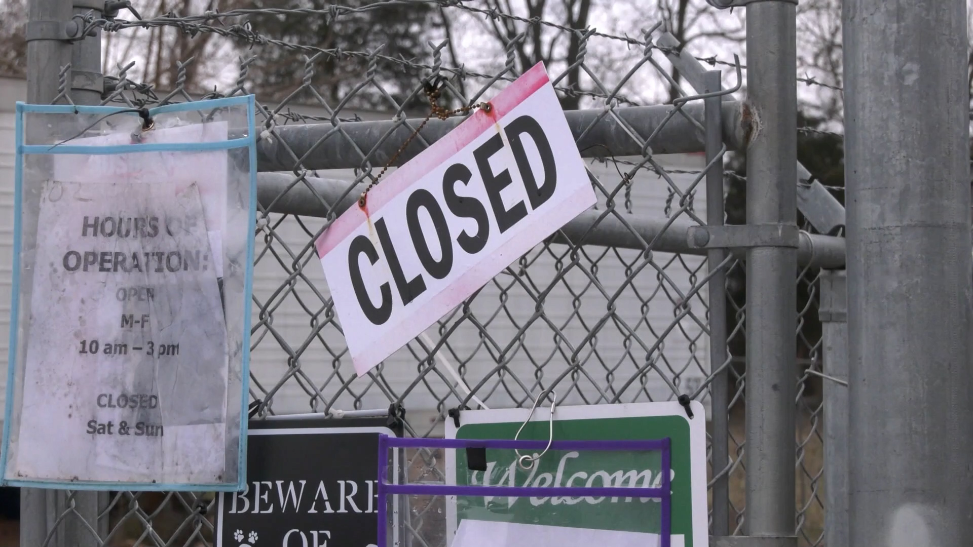 Logan County Humane Society works to mend its issues - WNKY News 40 ...