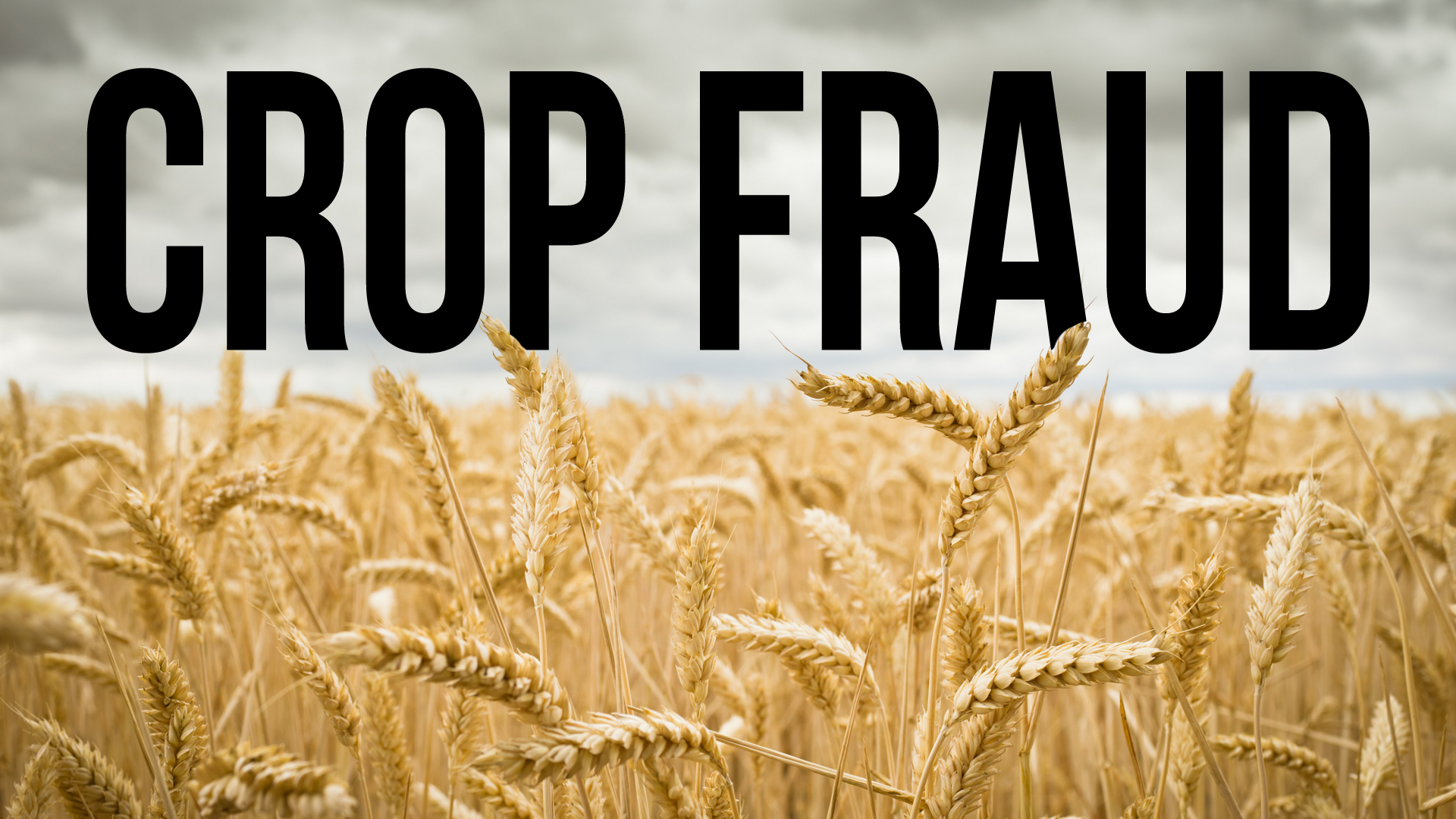 Lafayette, TN man receives sentence for crop insurance fraud - WNKY ...