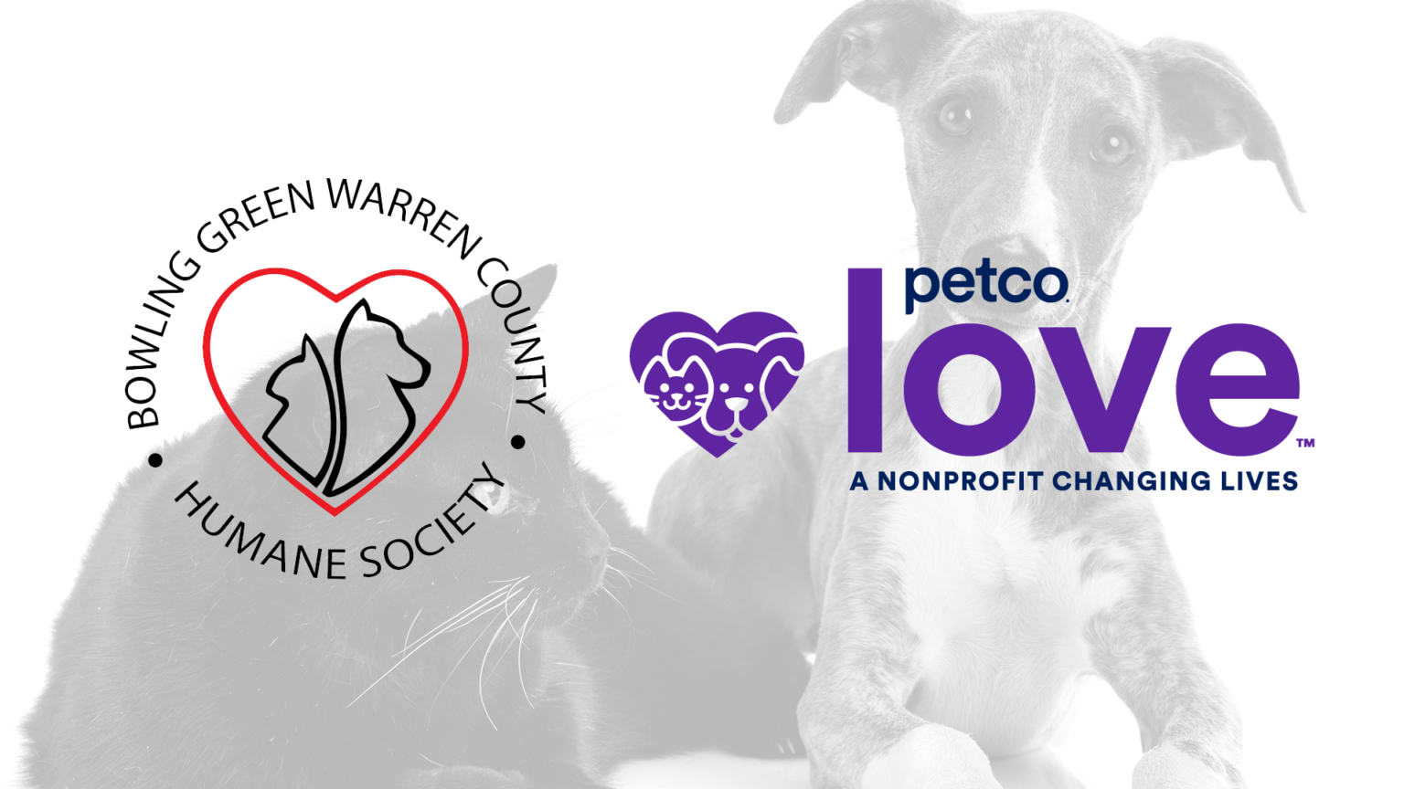 Humane society receives $200,000 grant - WNKY News 40 Television