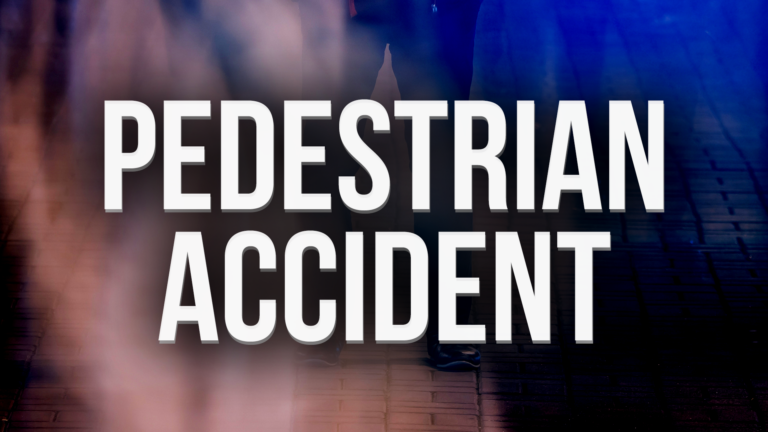 Woman struck, killed while trying to save pet following crash - WNKY ...