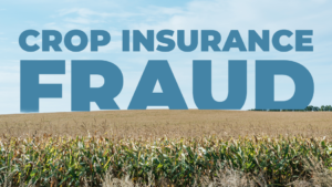 Campbellsville man sentenced to federal prison in crop insurance fraud ...