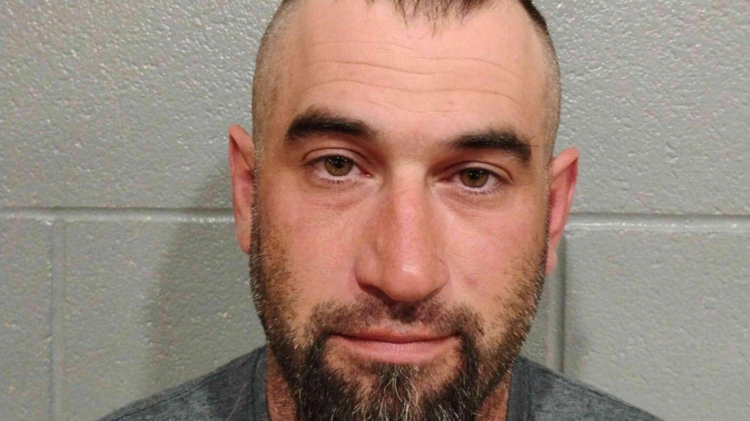 Smiths Grove man charged with criminal abuse and strangulation ...