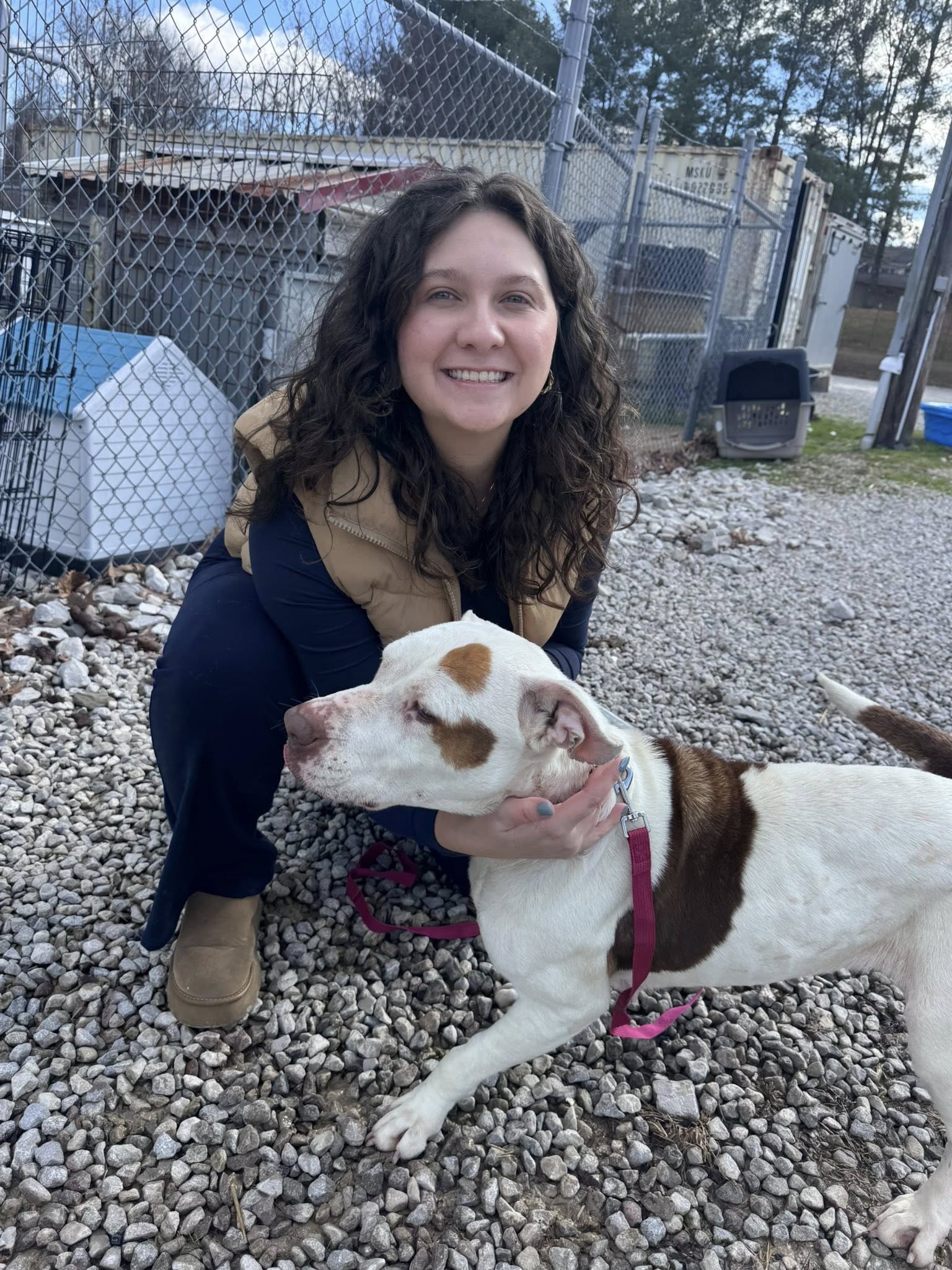 Butler County Animal Shelter sees massive success during adoption event ...