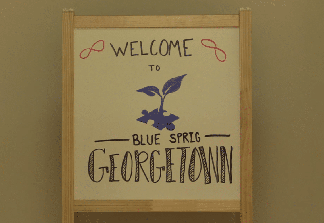 BlueSprig opens new center in Georgetown for kids with Autism - WTVQ