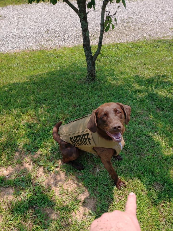 Morgan County Sheriffs K9 Unit Receives Body Armor Donation Abc 36 News