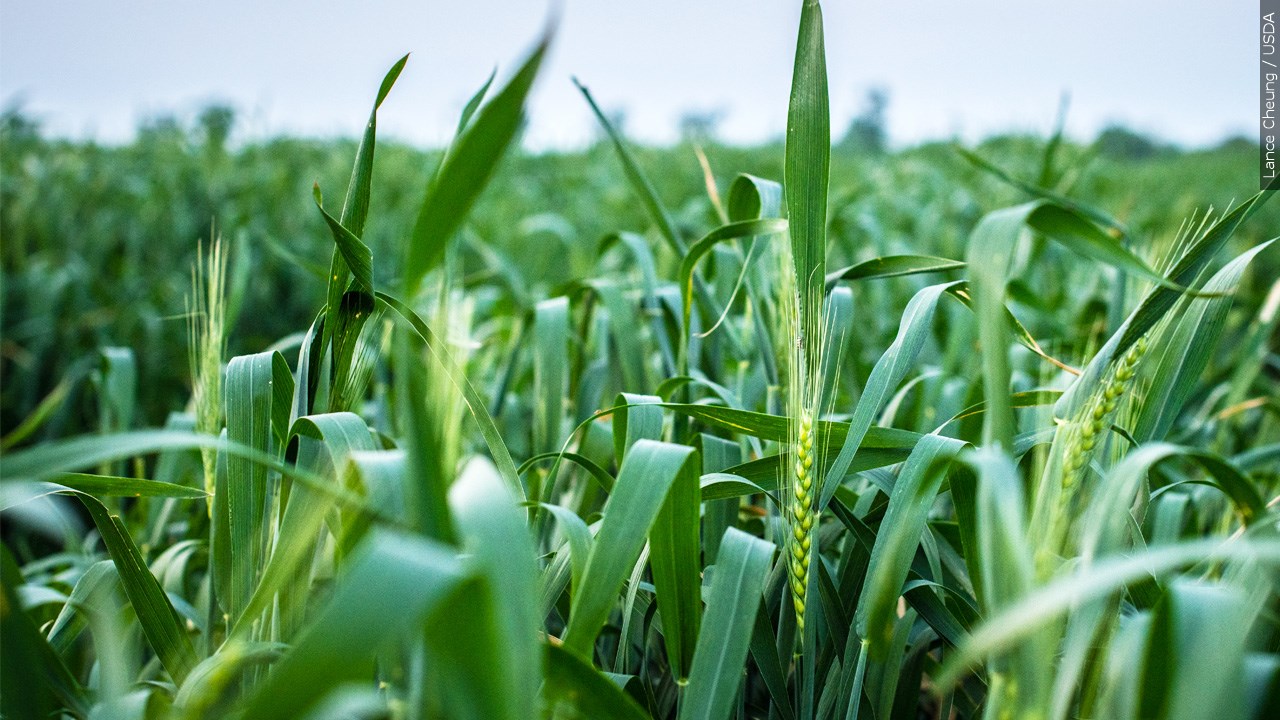Kentucky Department of Ag awarded $333K for specialty crop program