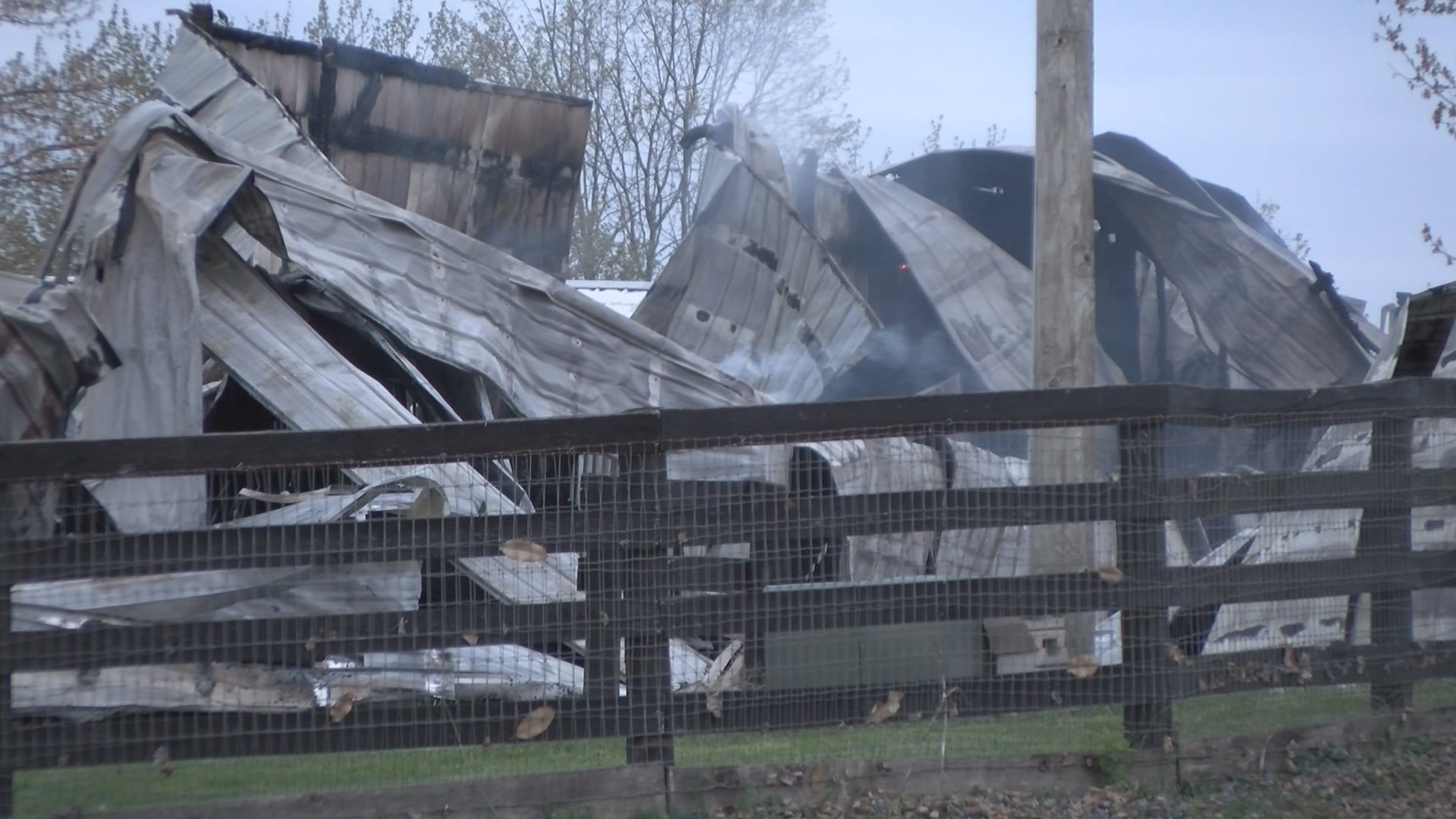 12 horses die in early morning barn fire in Lexington