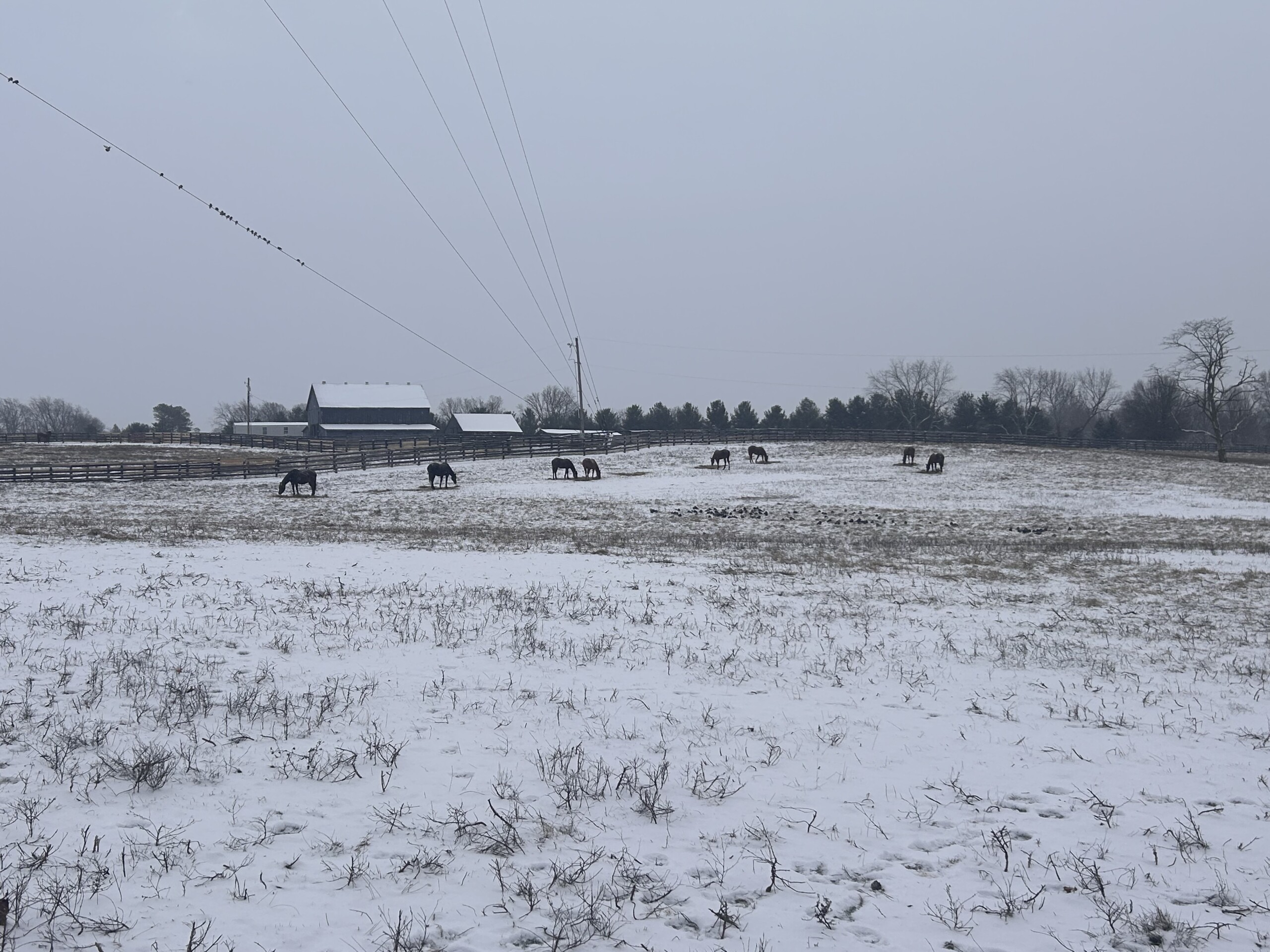 PHOTOS: Snowy, cold scenes across Kentucky