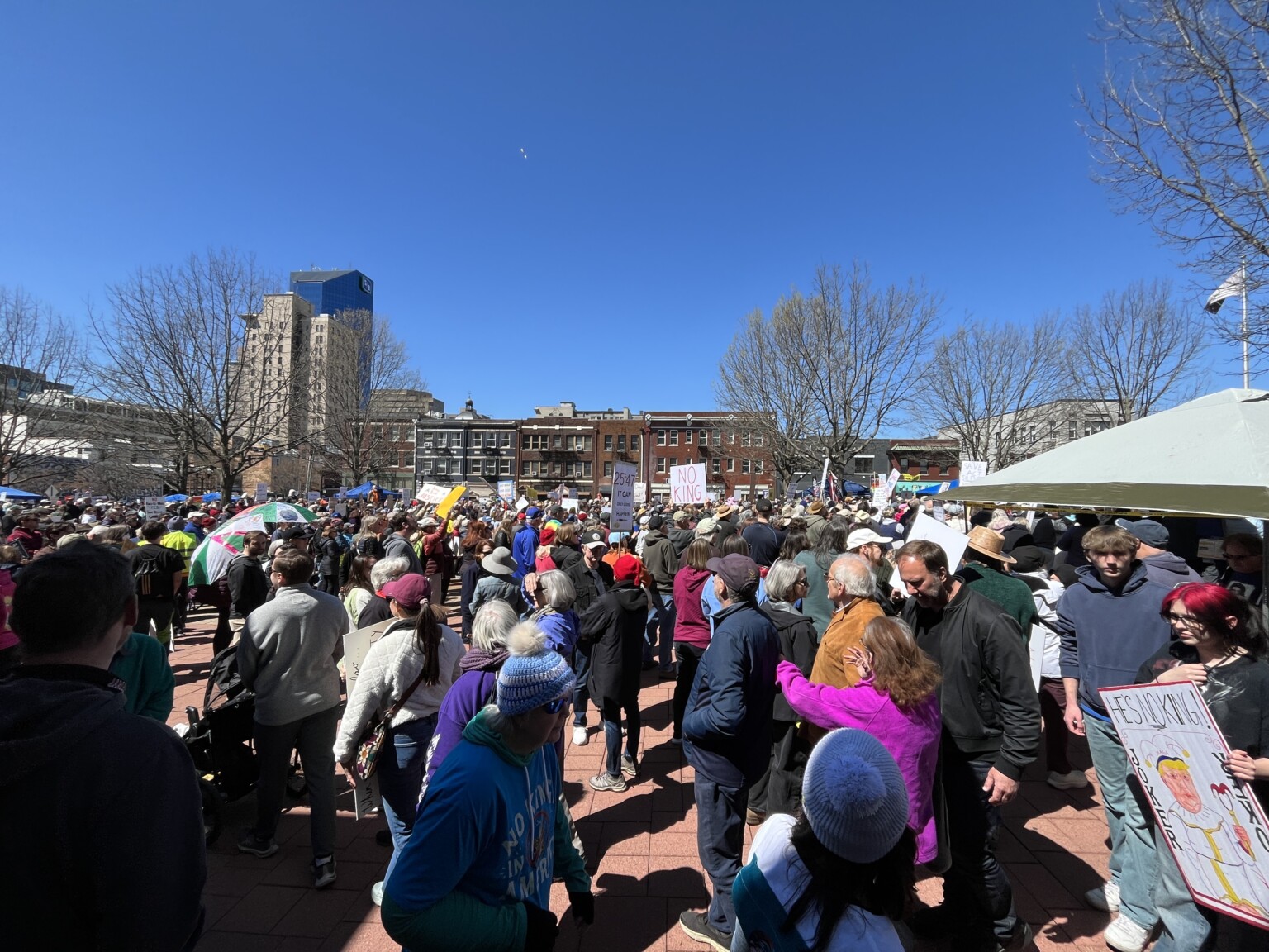 Thousands gathered downtown Lexington for a third 'No Kings' protest - WTVQ