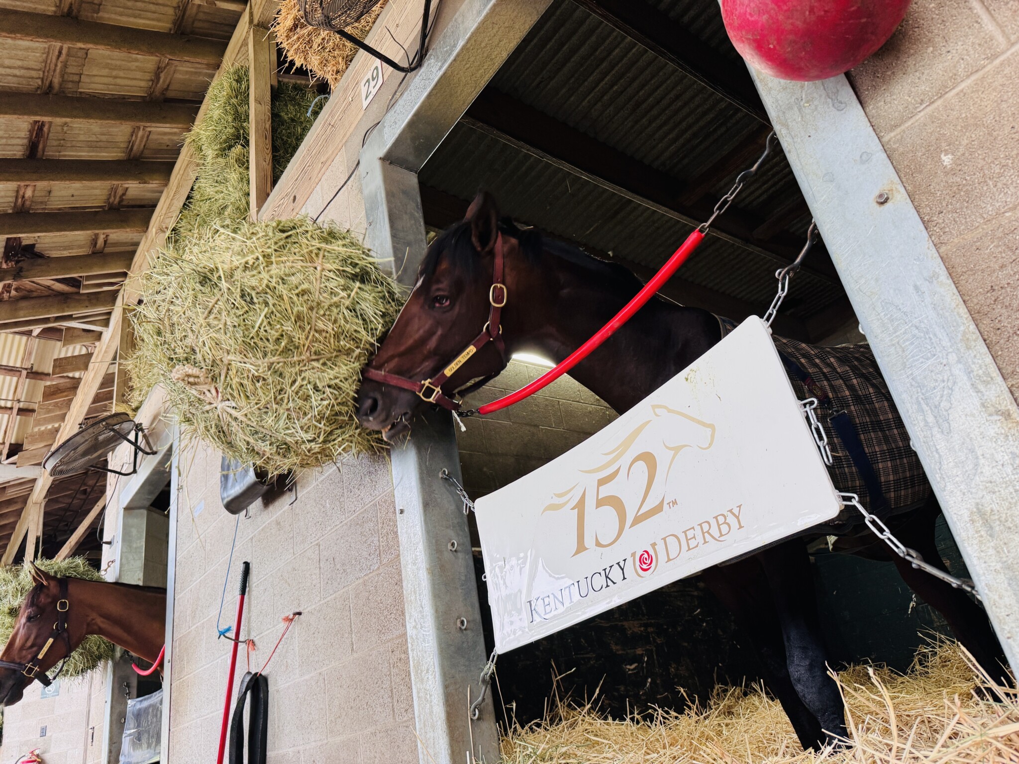 Kentucky Derby champ Golden Tempo to skip Preakness Stakes, eyes ...