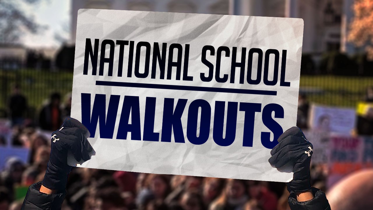 School-walkout unity also lays bare division among students - WWAYTV3