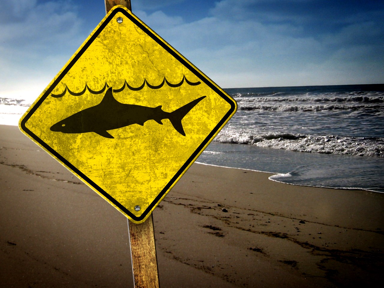Shark attacks teen at beach in California - WWAYTV3