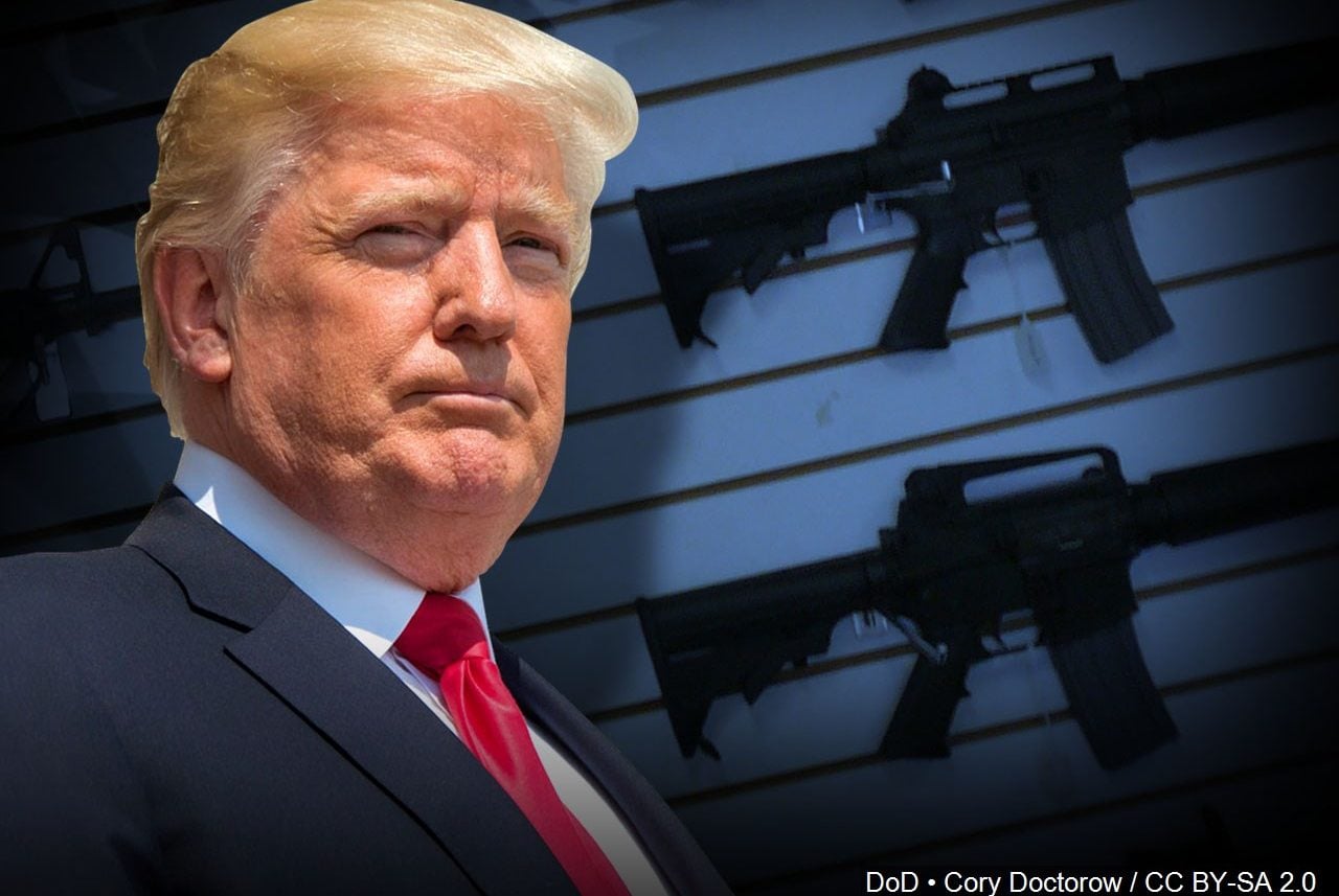 Trump insists US has 'very strong' gun background checks - WWAYTV3