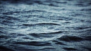Mysterious "golden orb" found in ocean depths off Alaska in 2023 is ...