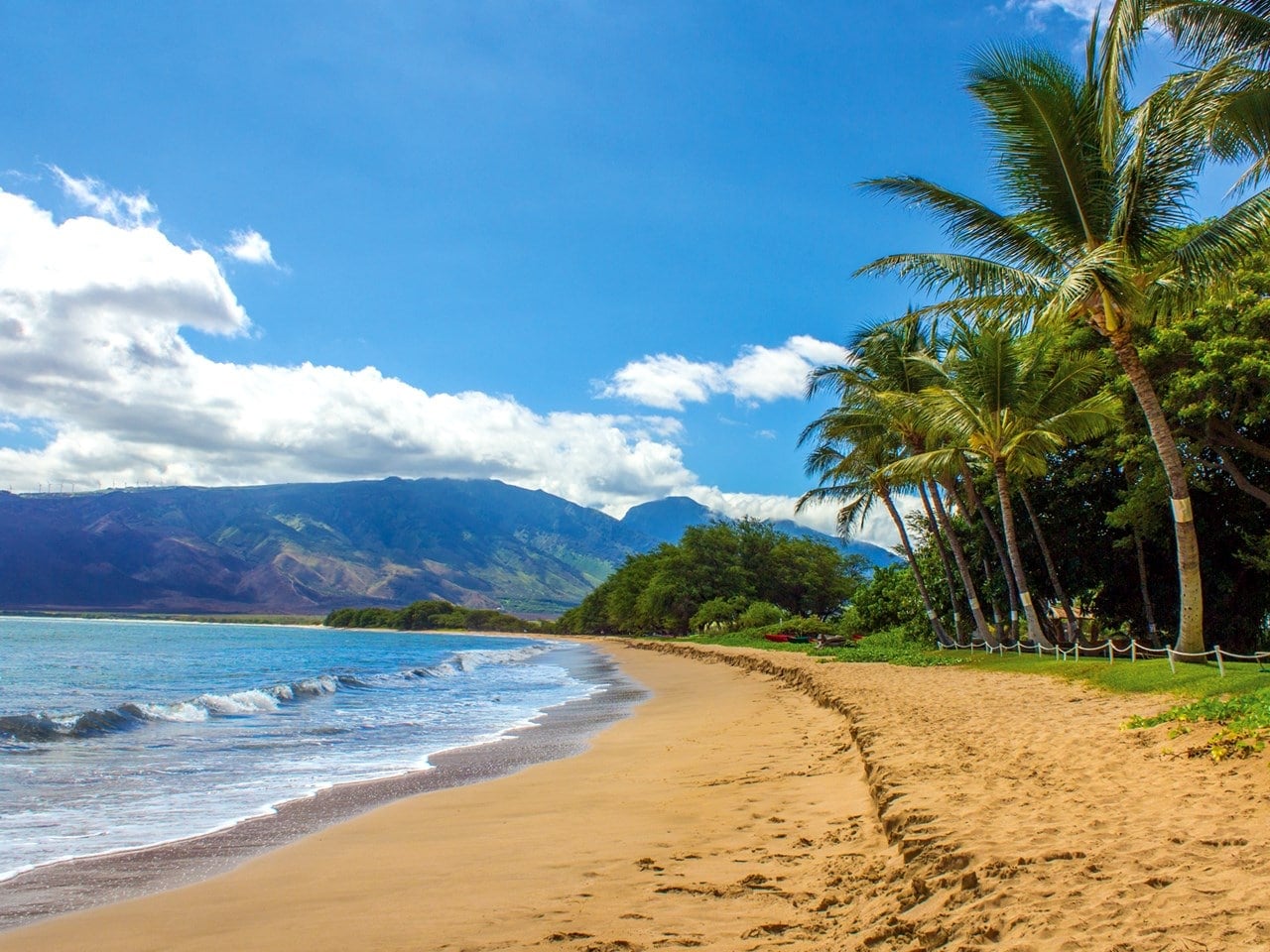 Lawyer says tourist accused of hurling rock at Hawaiian monk seal has ...