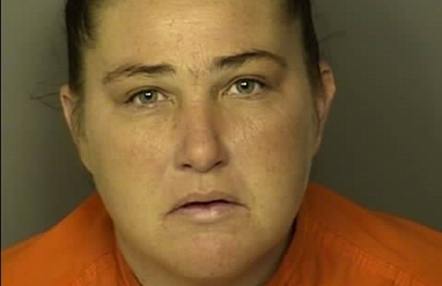 CCSO: Woman leads authorities on chase across state lines - WWAYTV3