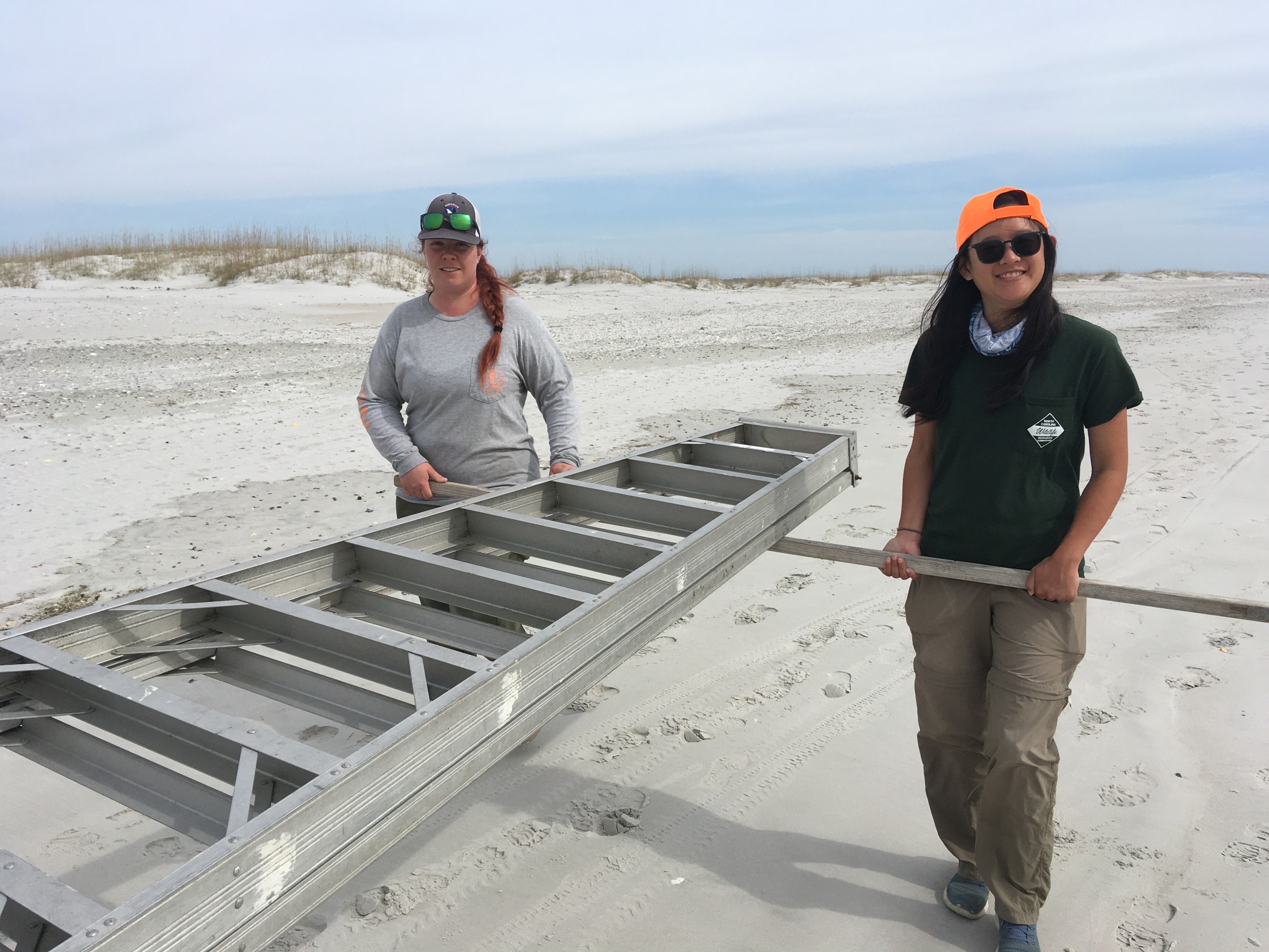Habitat restoration grants awarded for Battery Island protection - WWAYTV3